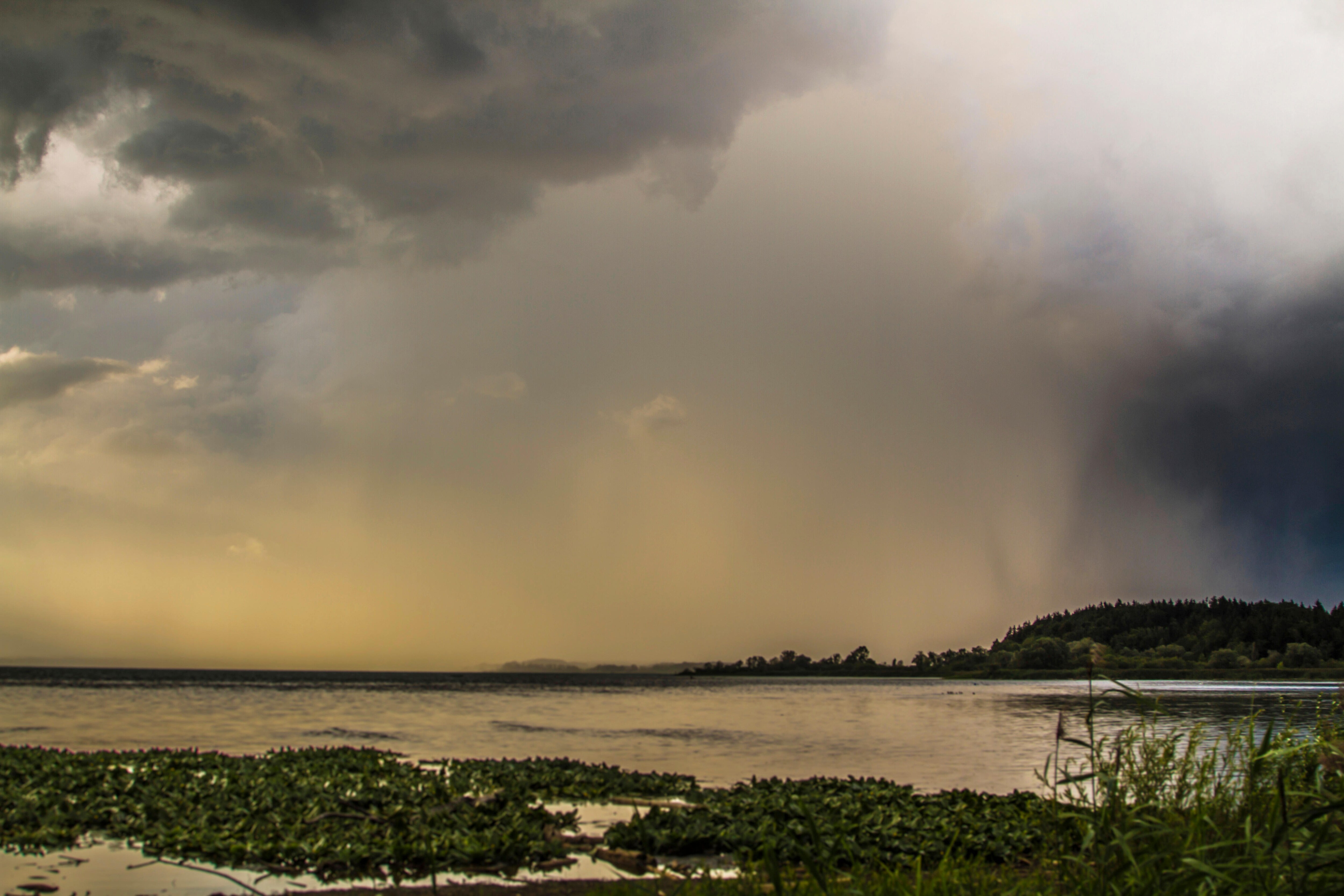 Rourkela, India - Rourkela Tourism | Rourkela Travel Guide - Yatra.com