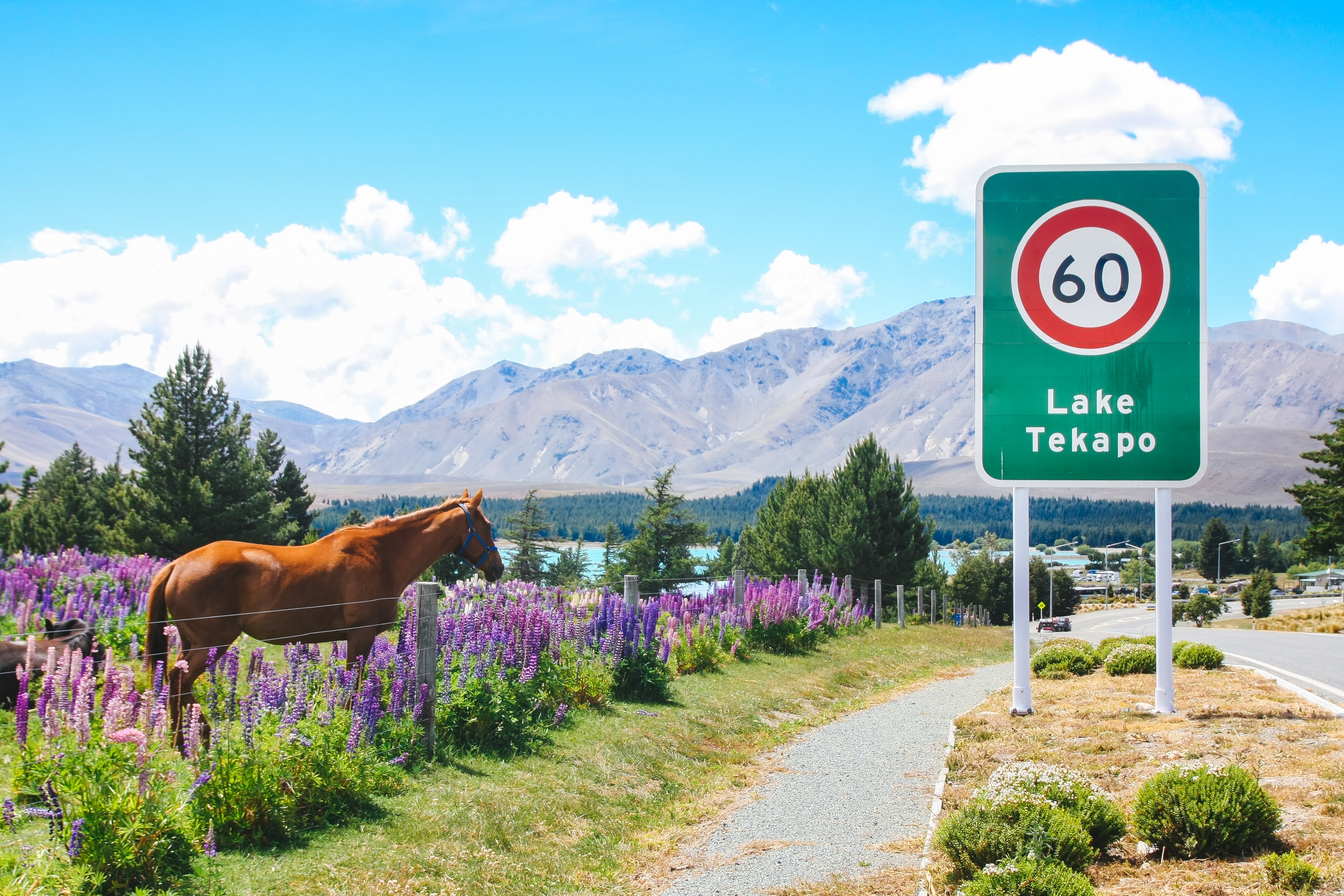 Queenstown Guide - Queenstown Tourism | Queenstown Travel Guide - Yatra.com