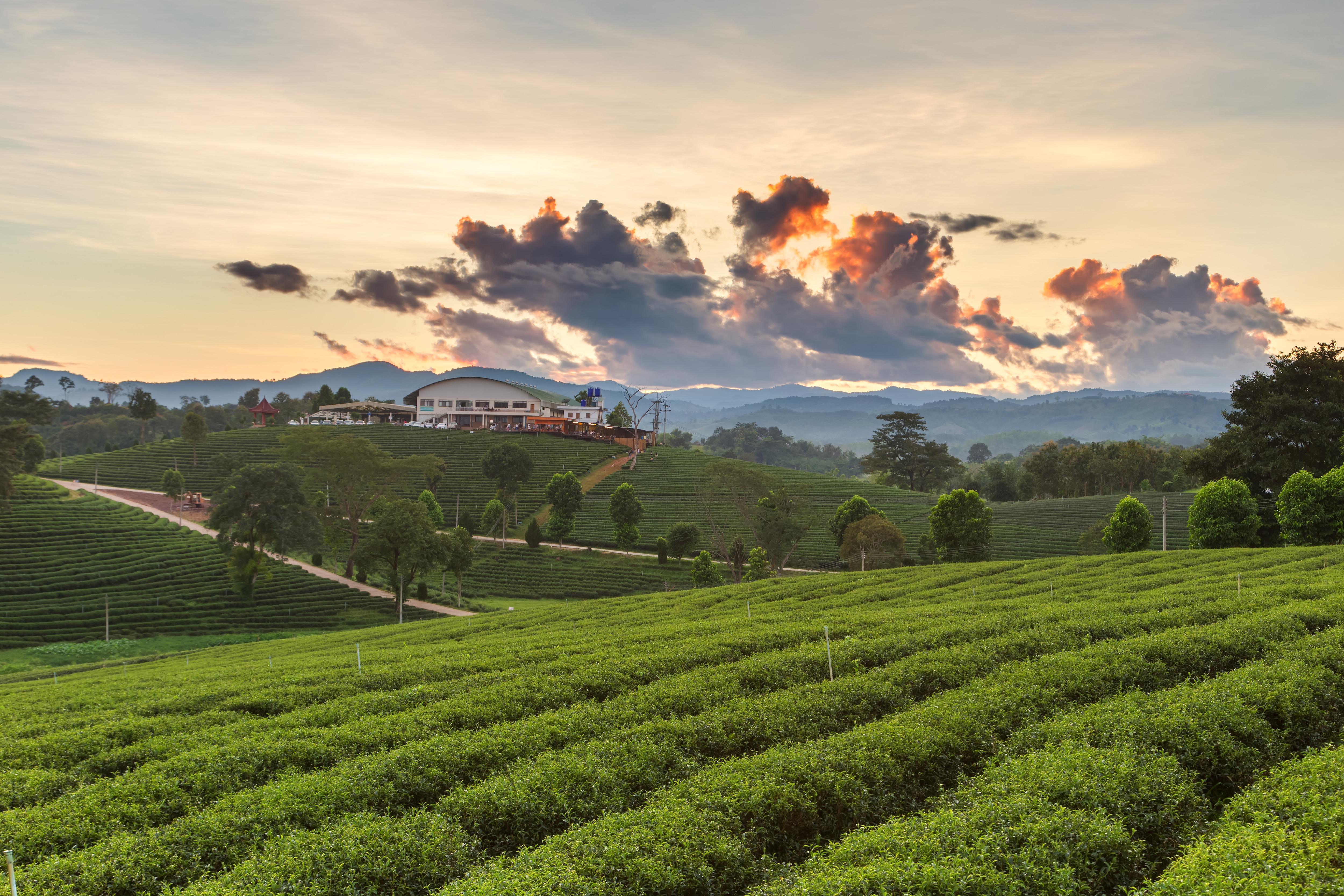 Kalimpong, India - Kalimpong Tourism | Kalimpong Travel Guide - Yatra.com