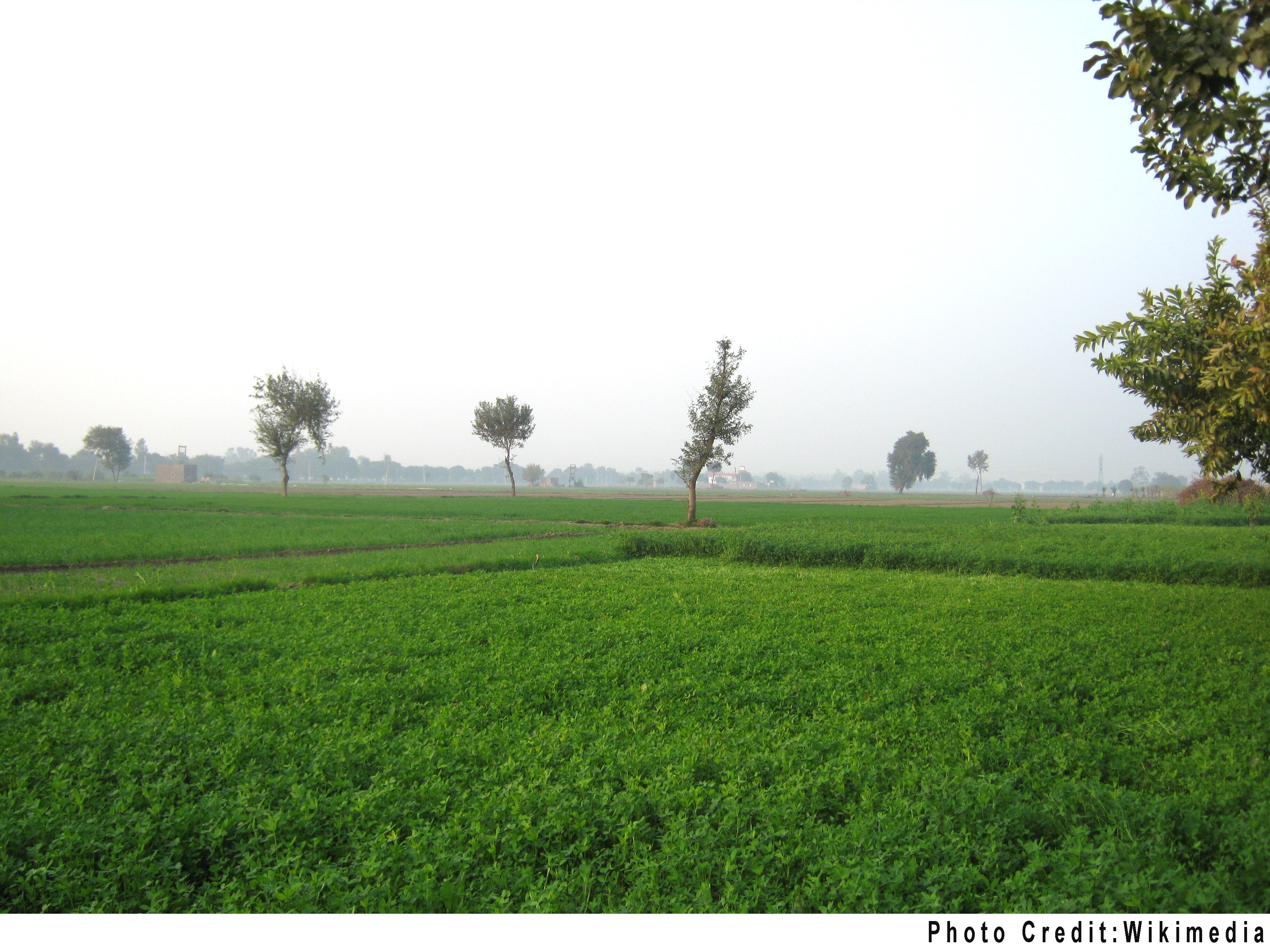 Sonipat, India - Sonipat Tourism | Sonipat Travel Guide - Yatra.com