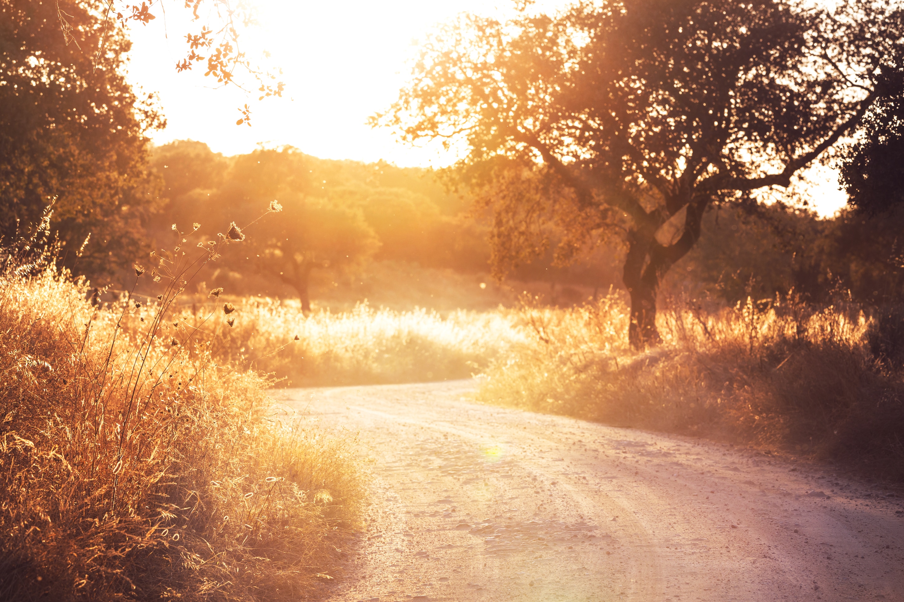 Sonipat, India - Sonipat Tourism | Sonipat Travel Guide - Yatra.com