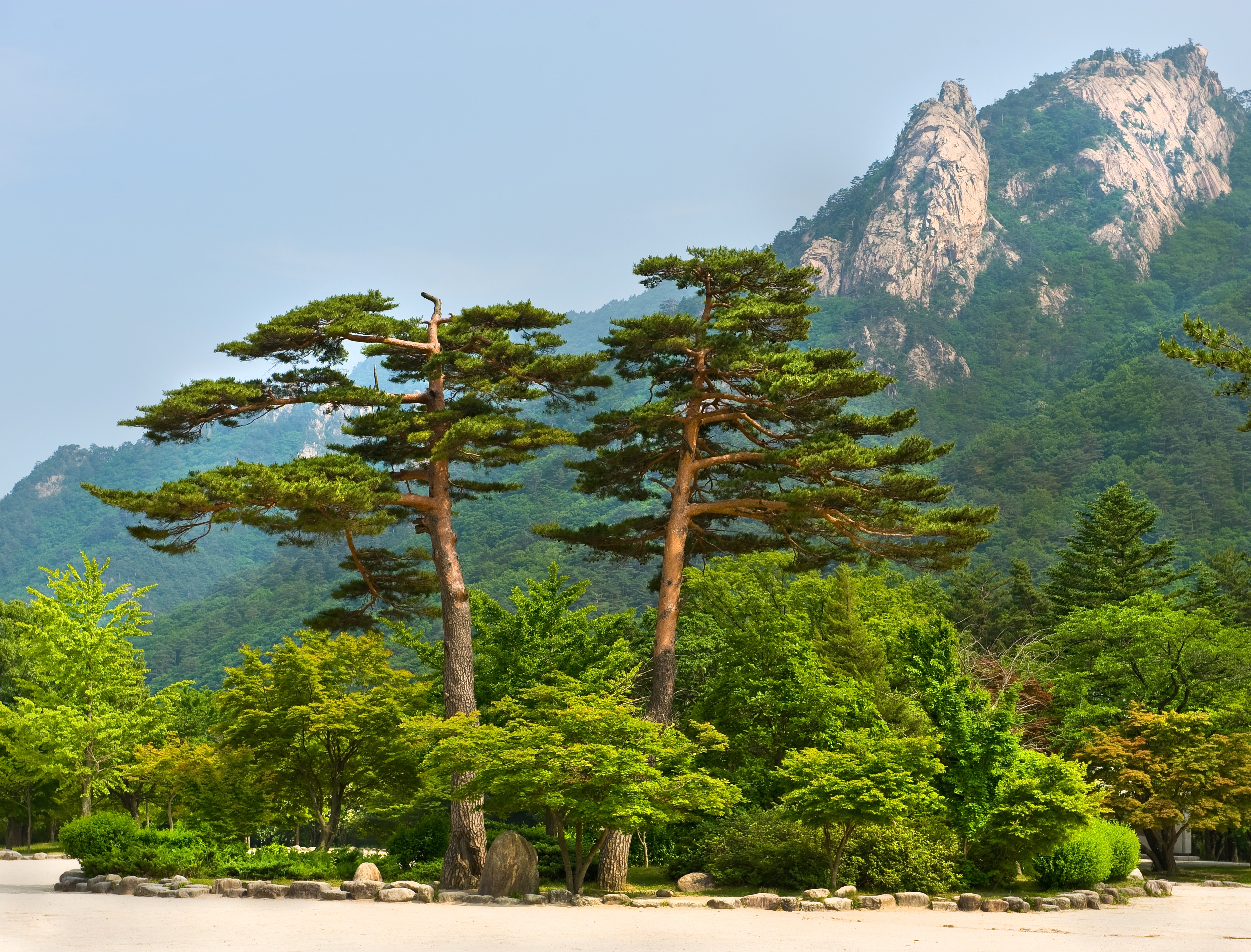 Namyangju Guide - Namyangju Tourism | Namyangju Travel Guide - Yatra.com