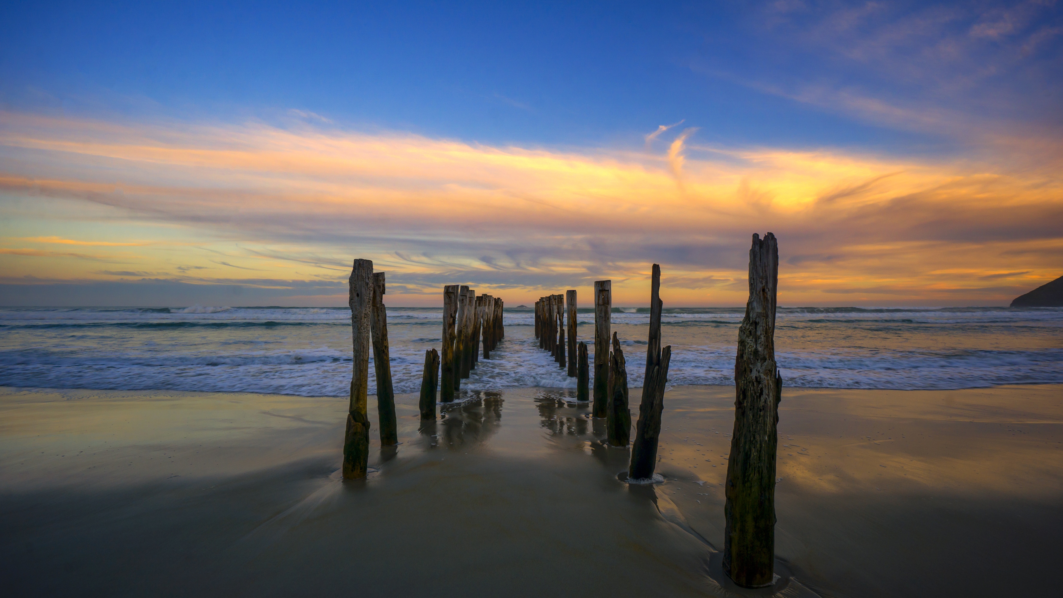 Dunedin Guide - Dunedin Tourism | Dunedin Travel Guide - Yatra.com