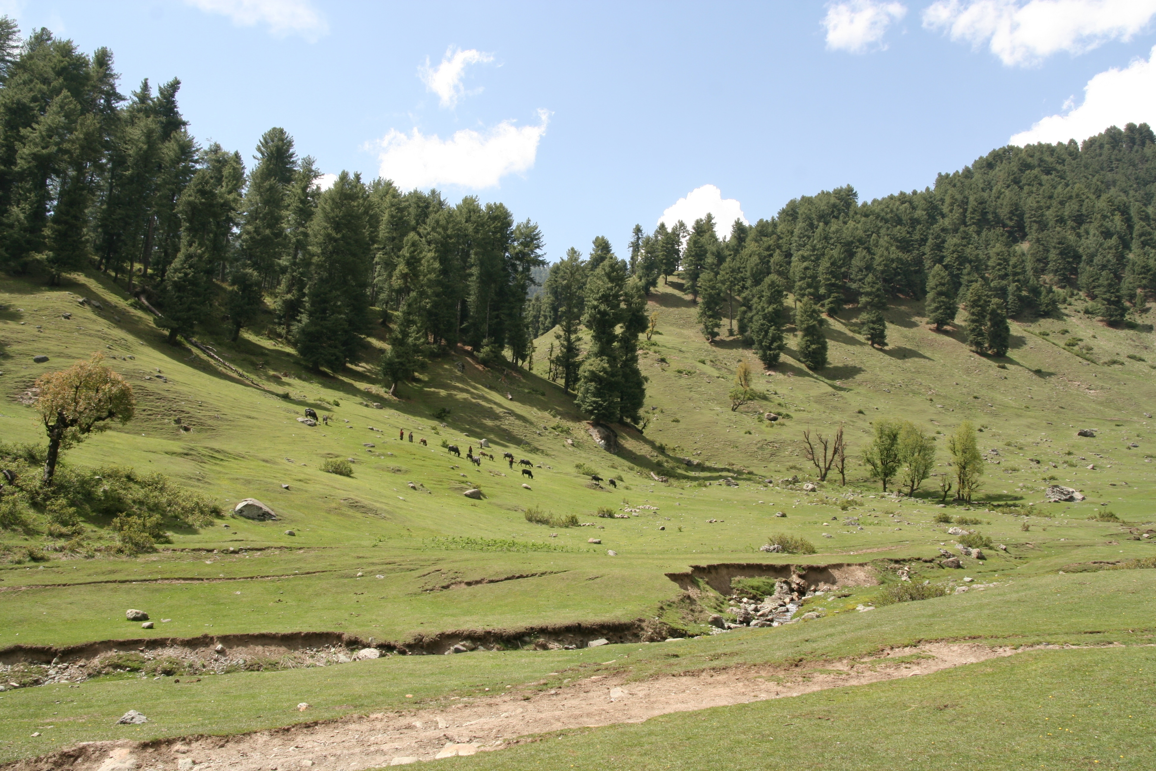 Doda, India - Doda Tourism | Doda Travel Guide - Yatra.com