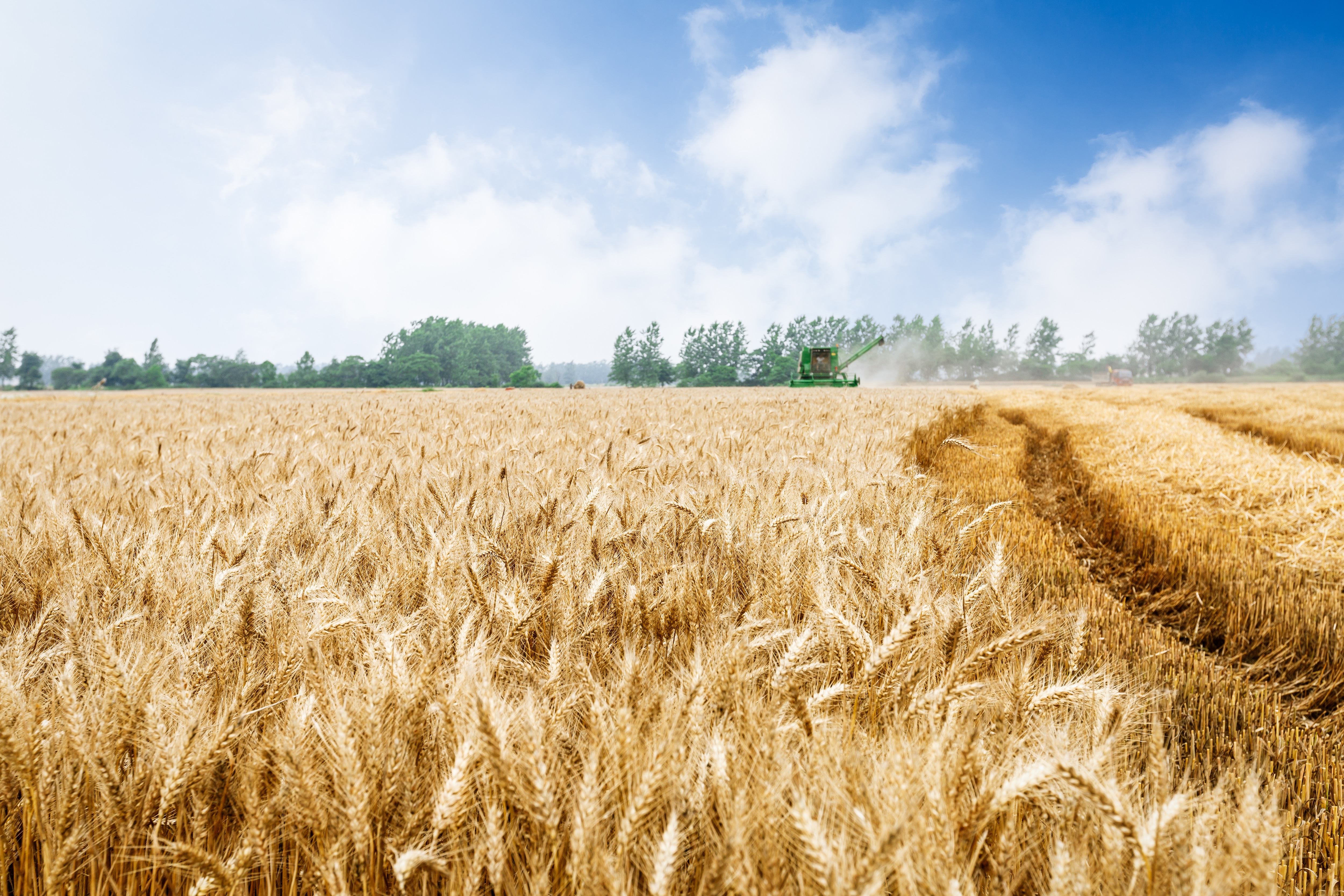 Kaithal, India - Kaithal Tourism | Kaithal Travel Guide - Yatra.com