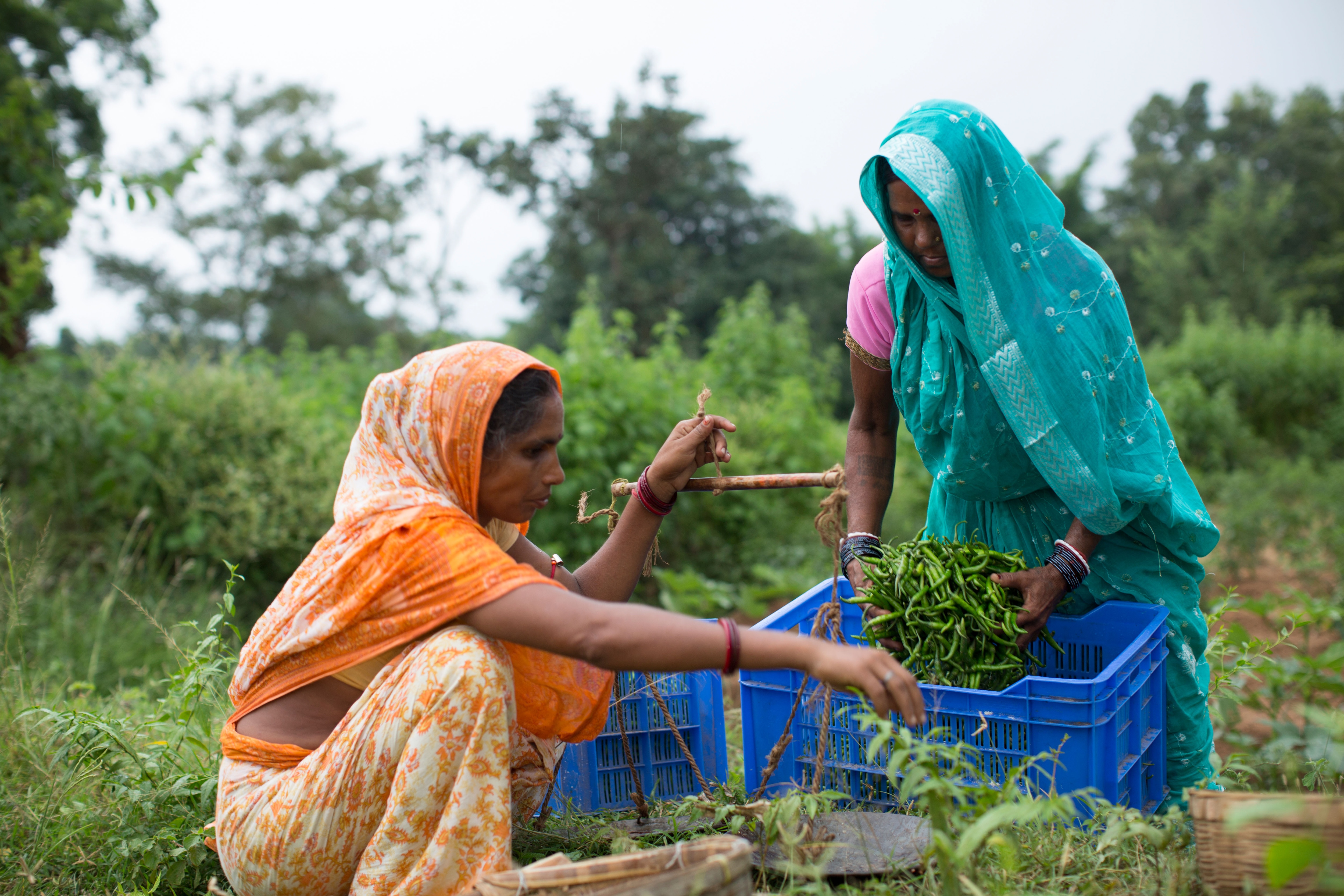 Muzaffarpur, India - Muzaffarpur Tourism | Muzaffarpur Travel Guide ...