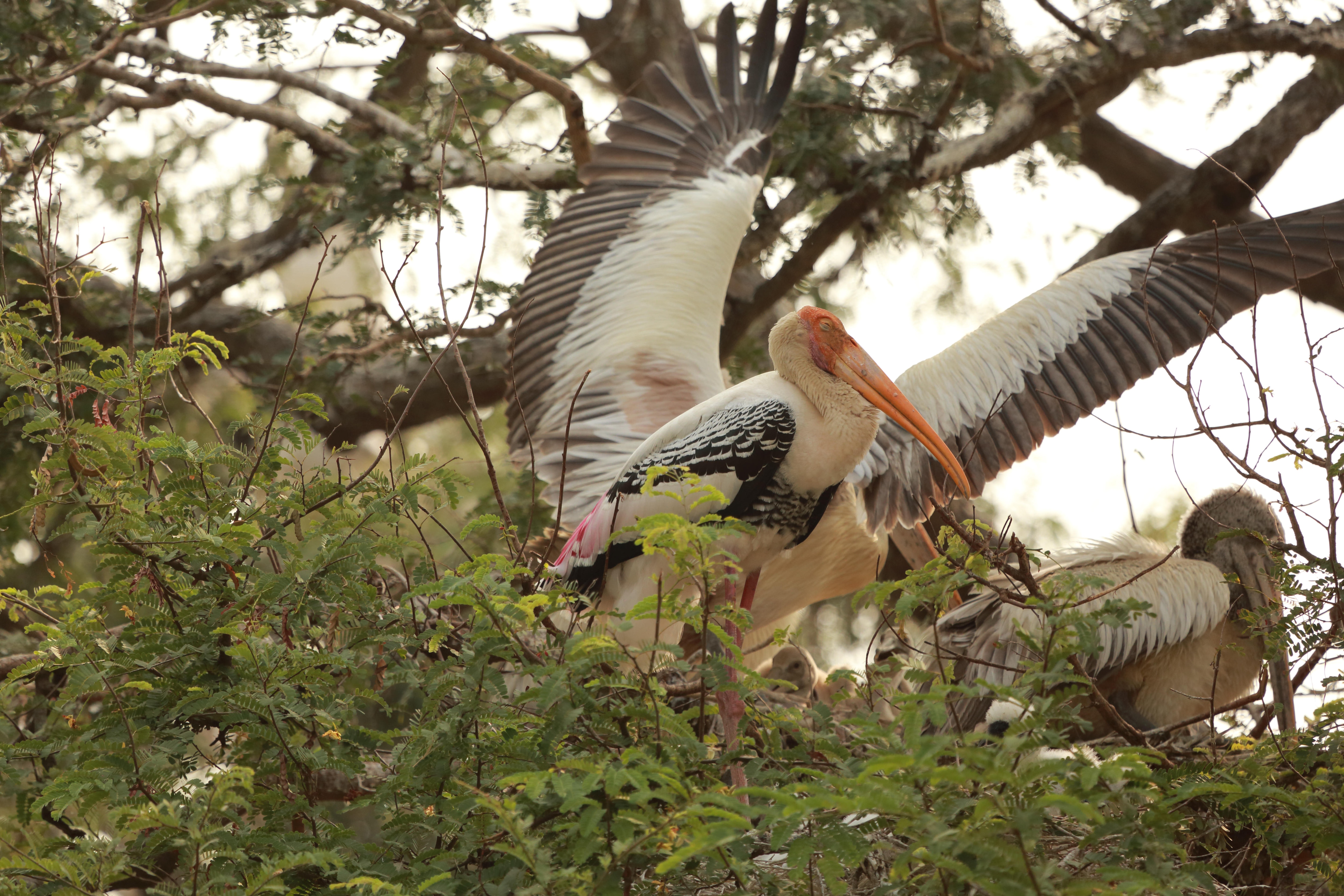 Nellore Tour Packages , get upto 30% Off on Nellore Packages Booking ...