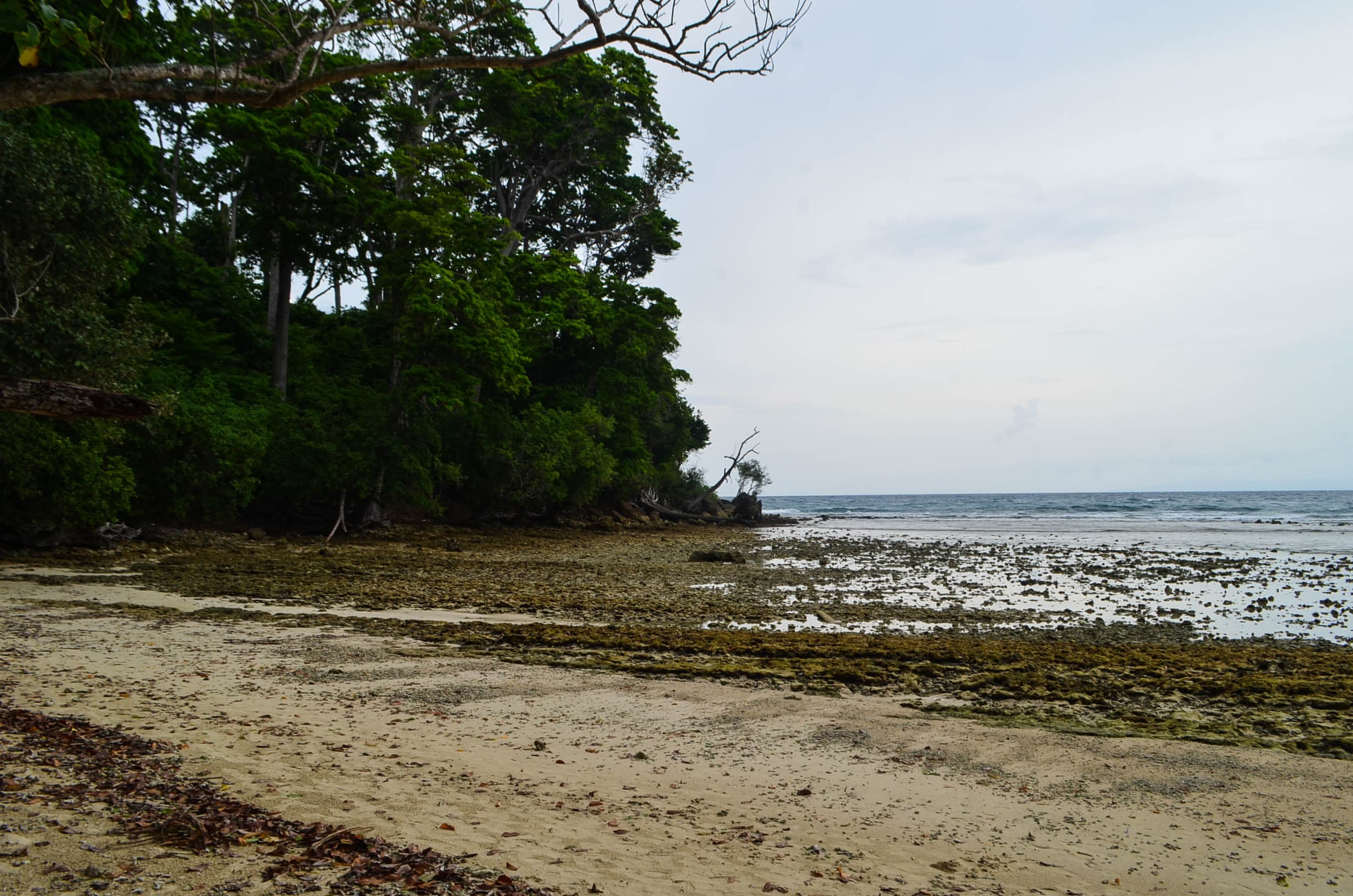 Neil Island - One of the Top Attractions in Andaman Island, India ...
