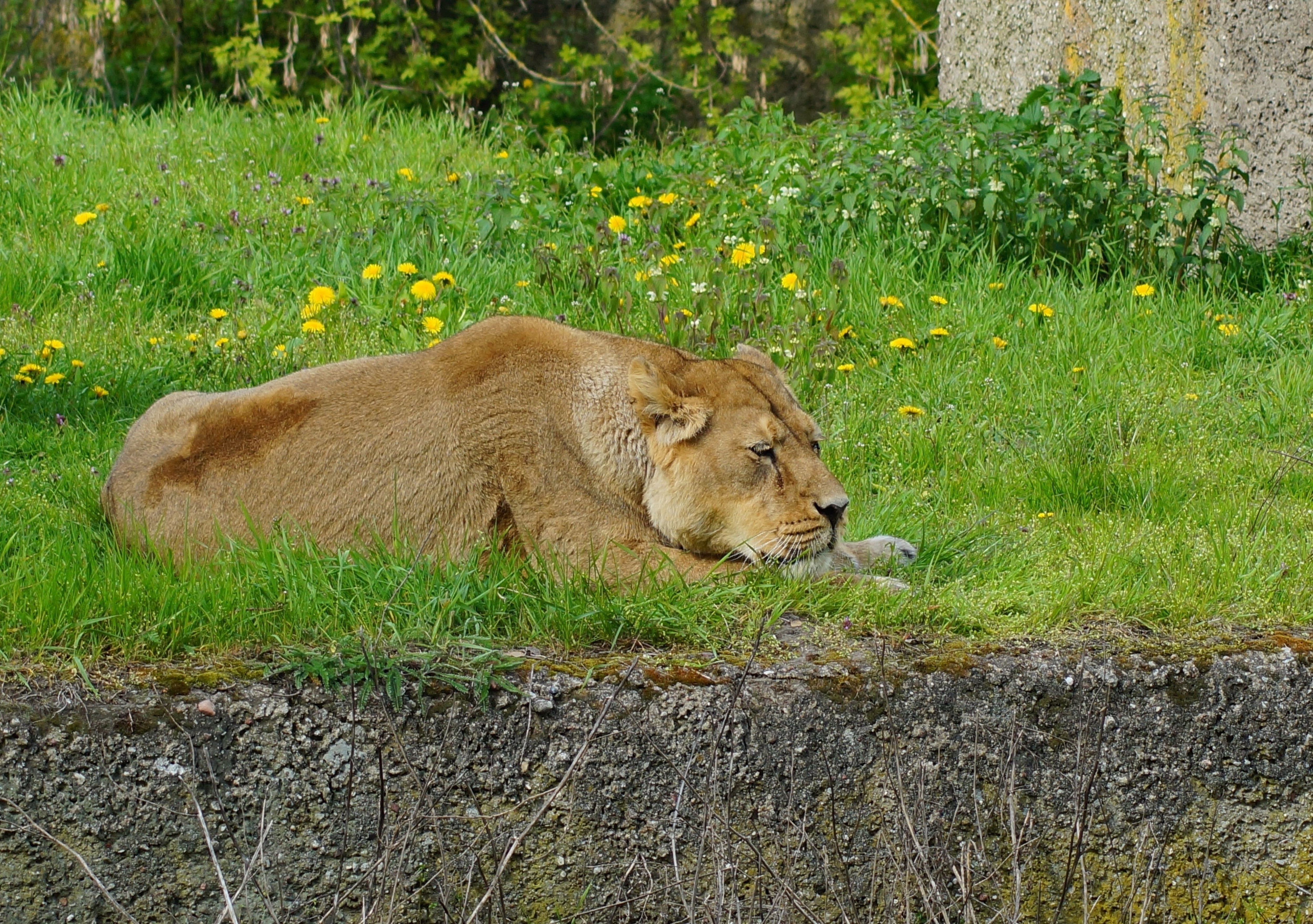 Places to Visit in Sasangir - Most Famous Sasangir Places to Visit - Yatra