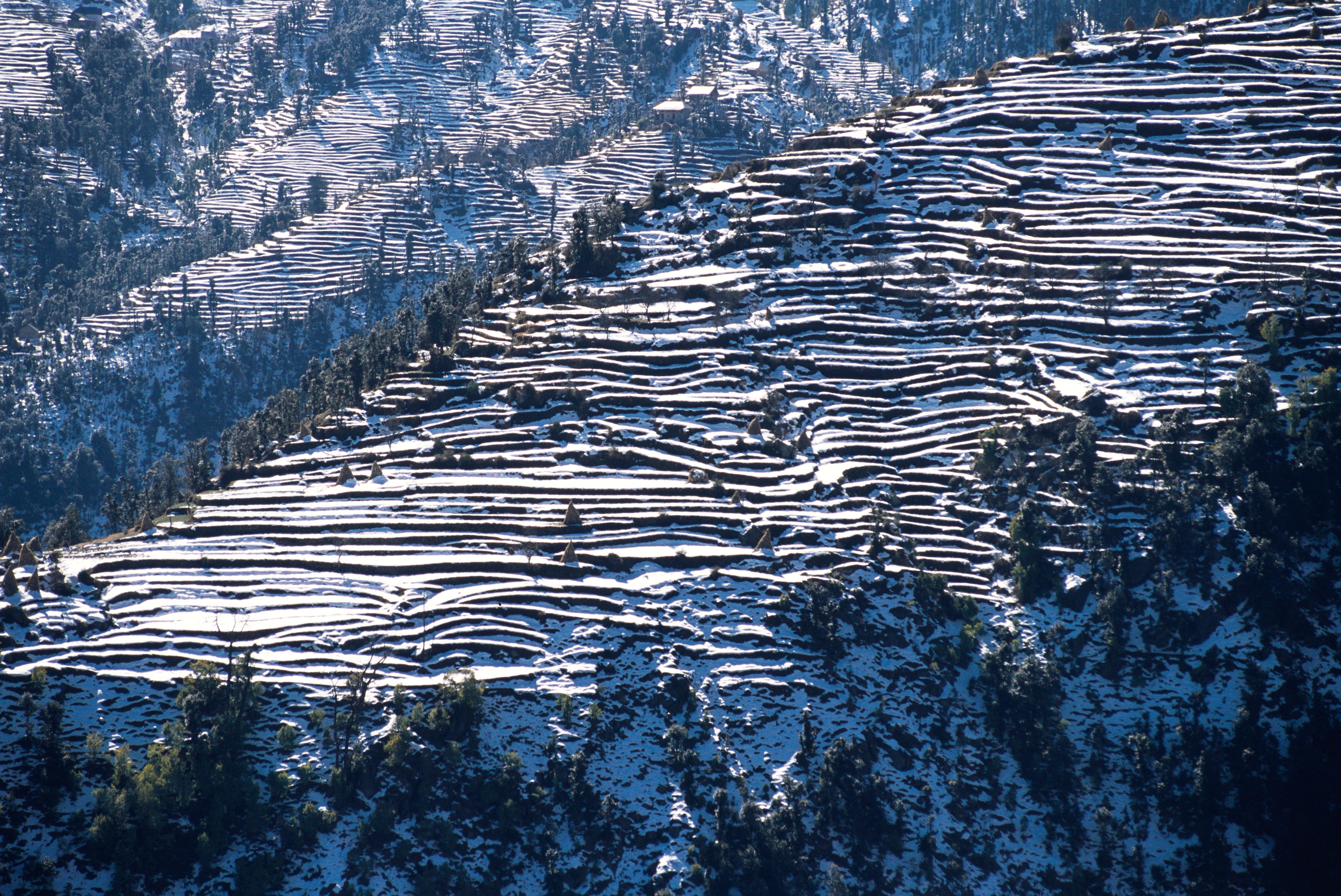 Khajjiar, India - Khajjiar Tourism | Khajjiar Travel Guide - Yatra.com