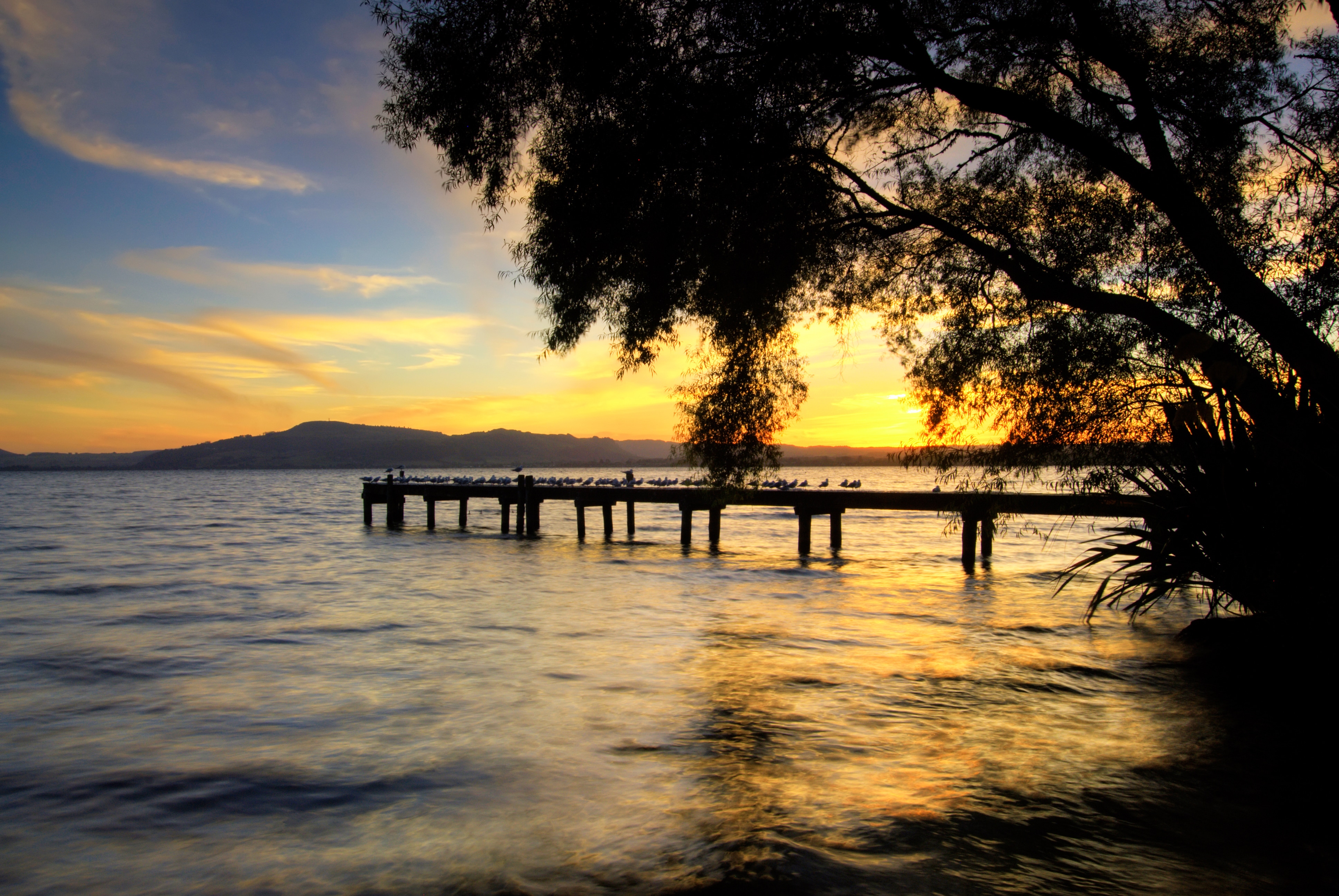 Rotorua Guide - Rotorua Tourism | Rotorua Travel Guide - Yatra.com