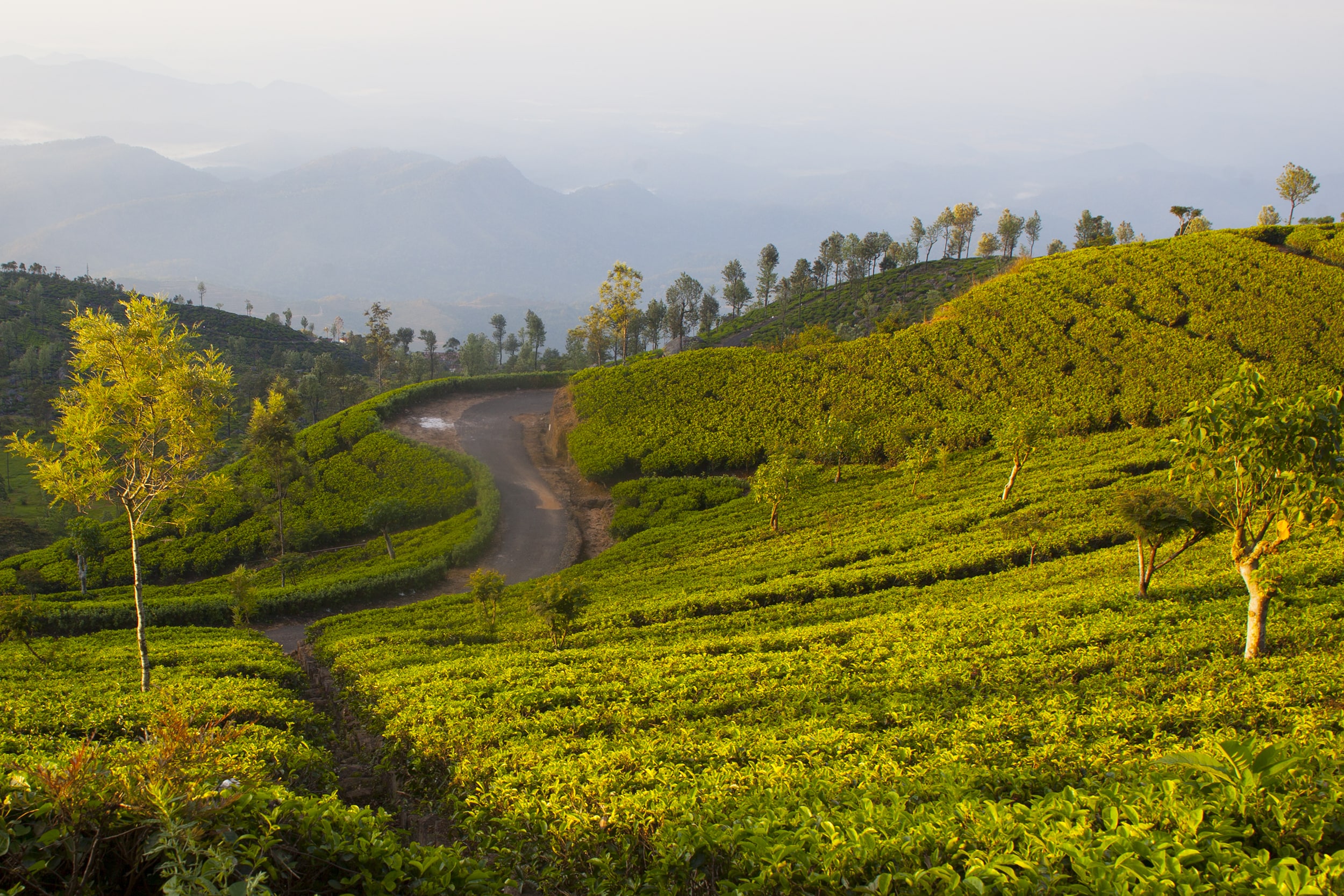 Kandy Guide - Kandy Tourism | Kandy Travel Guide - Yatra.com