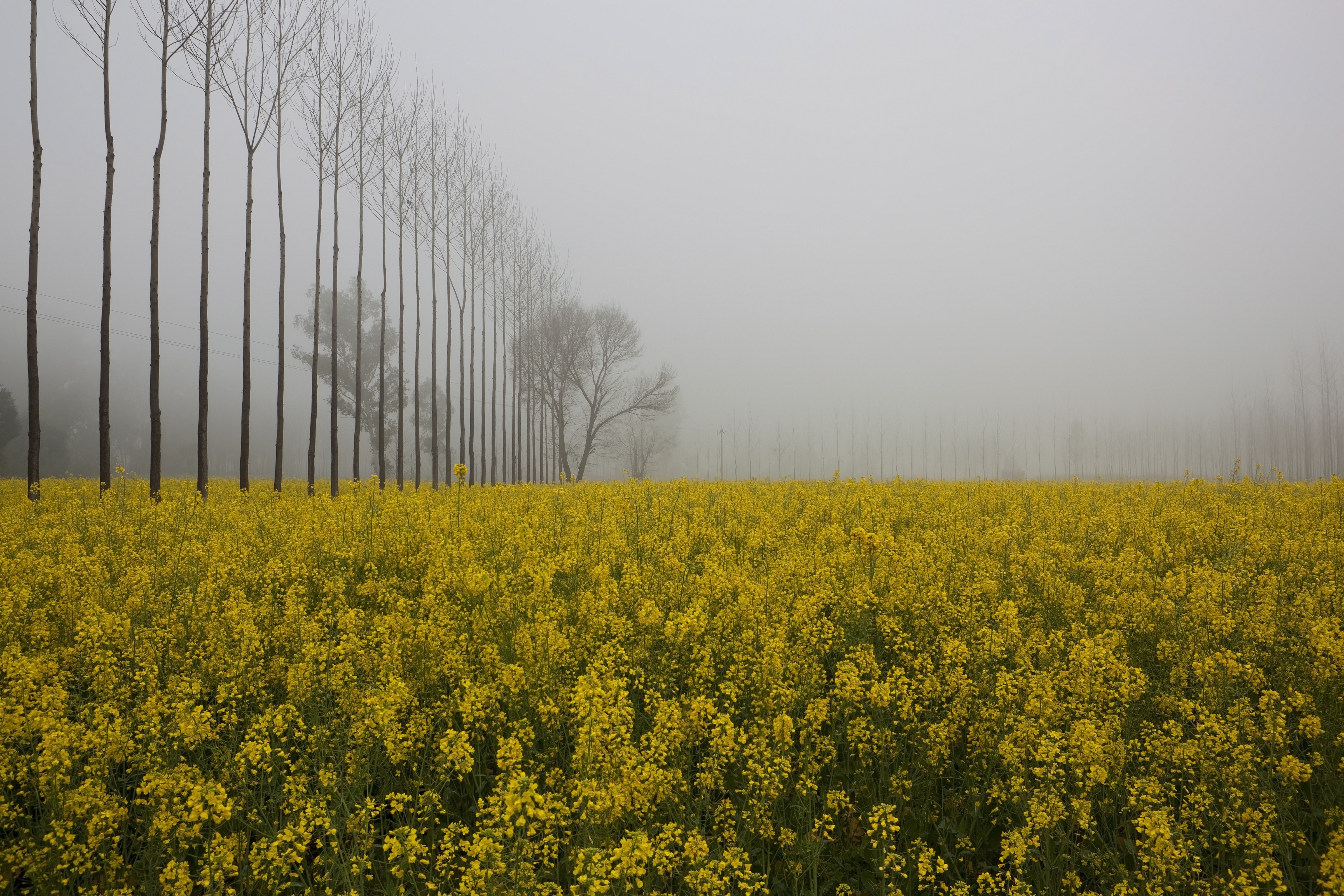 Moga Tour Packages From Hyderabad - Book Moga Packages From Hyderabad ...