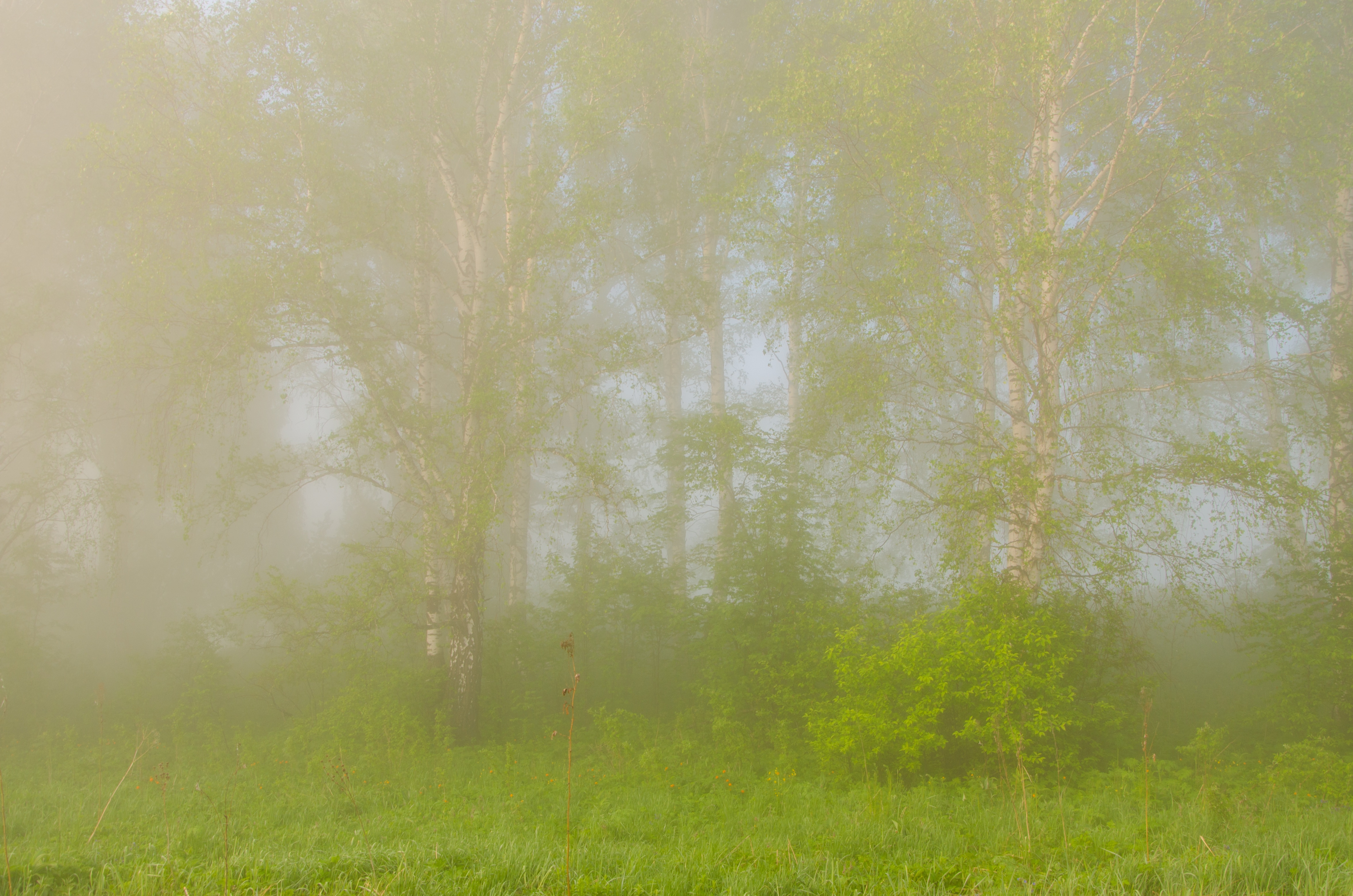 Moga, India - Moga Tourism | Moga Travel Guide - Yatra.com