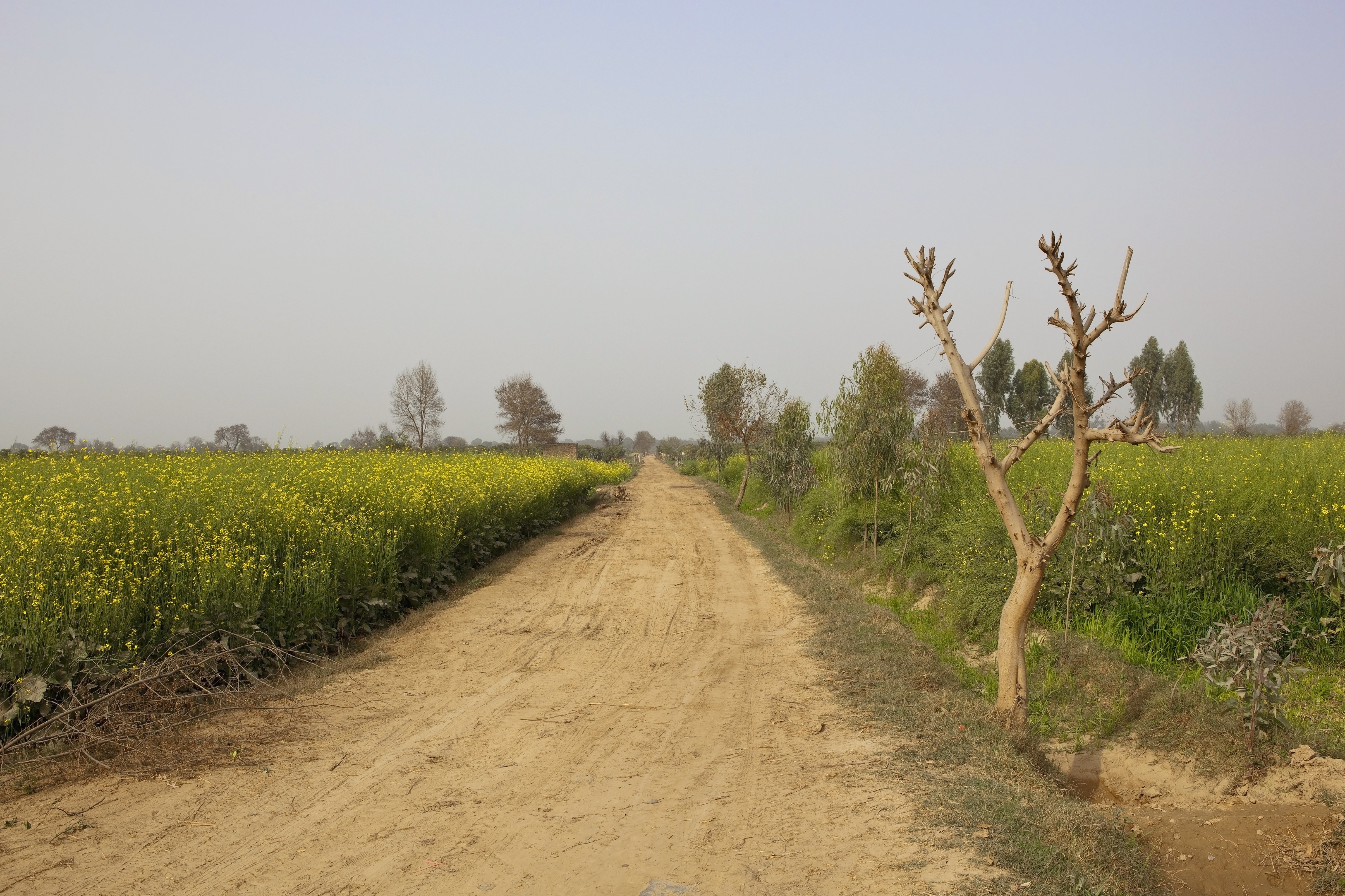 Moga, India - Moga Tourism | Moga Travel Guide - Yatra.com