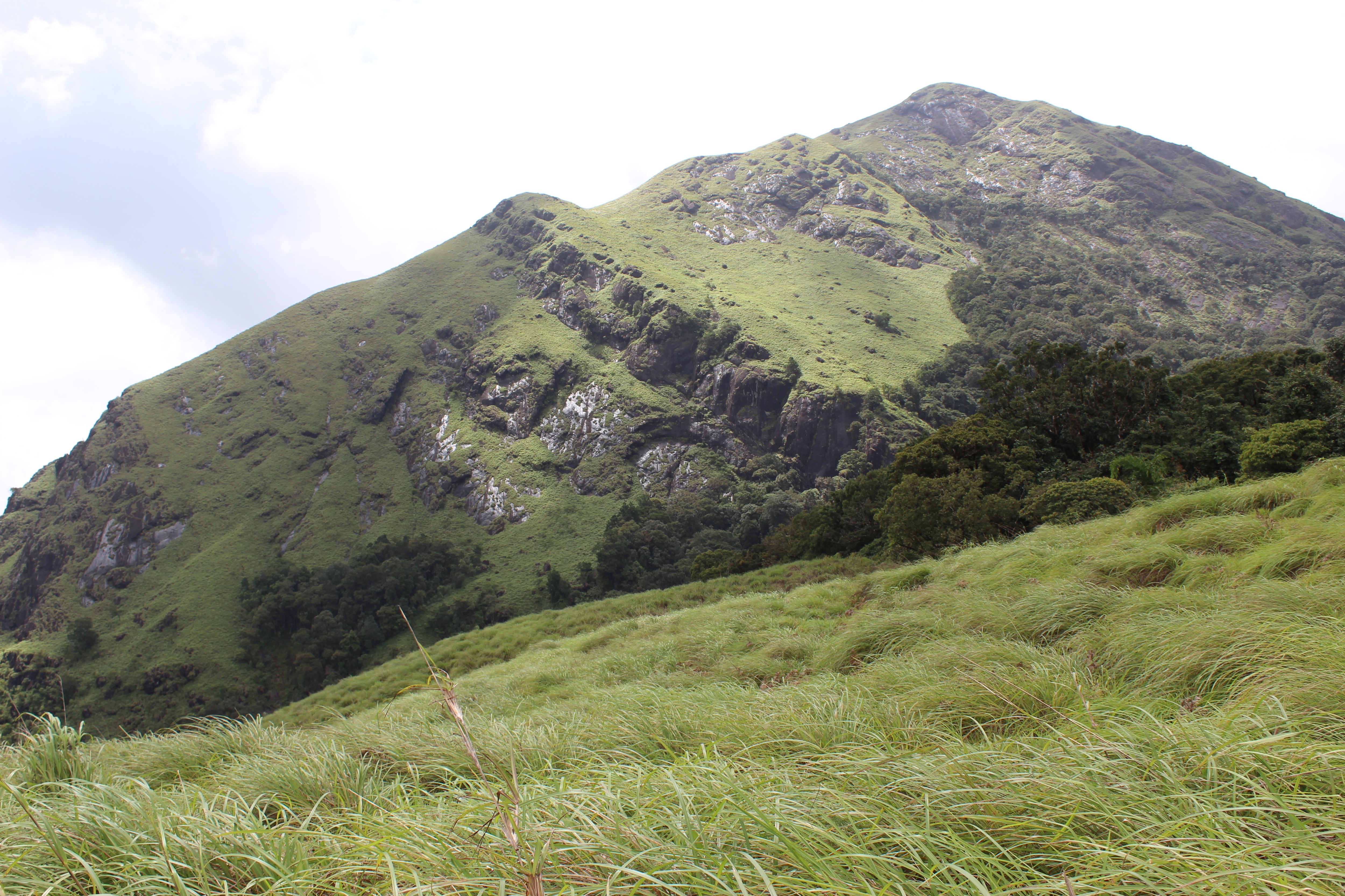 Chembra Peak - One of the Top Attractions in Wayanad, India - Yatra.com