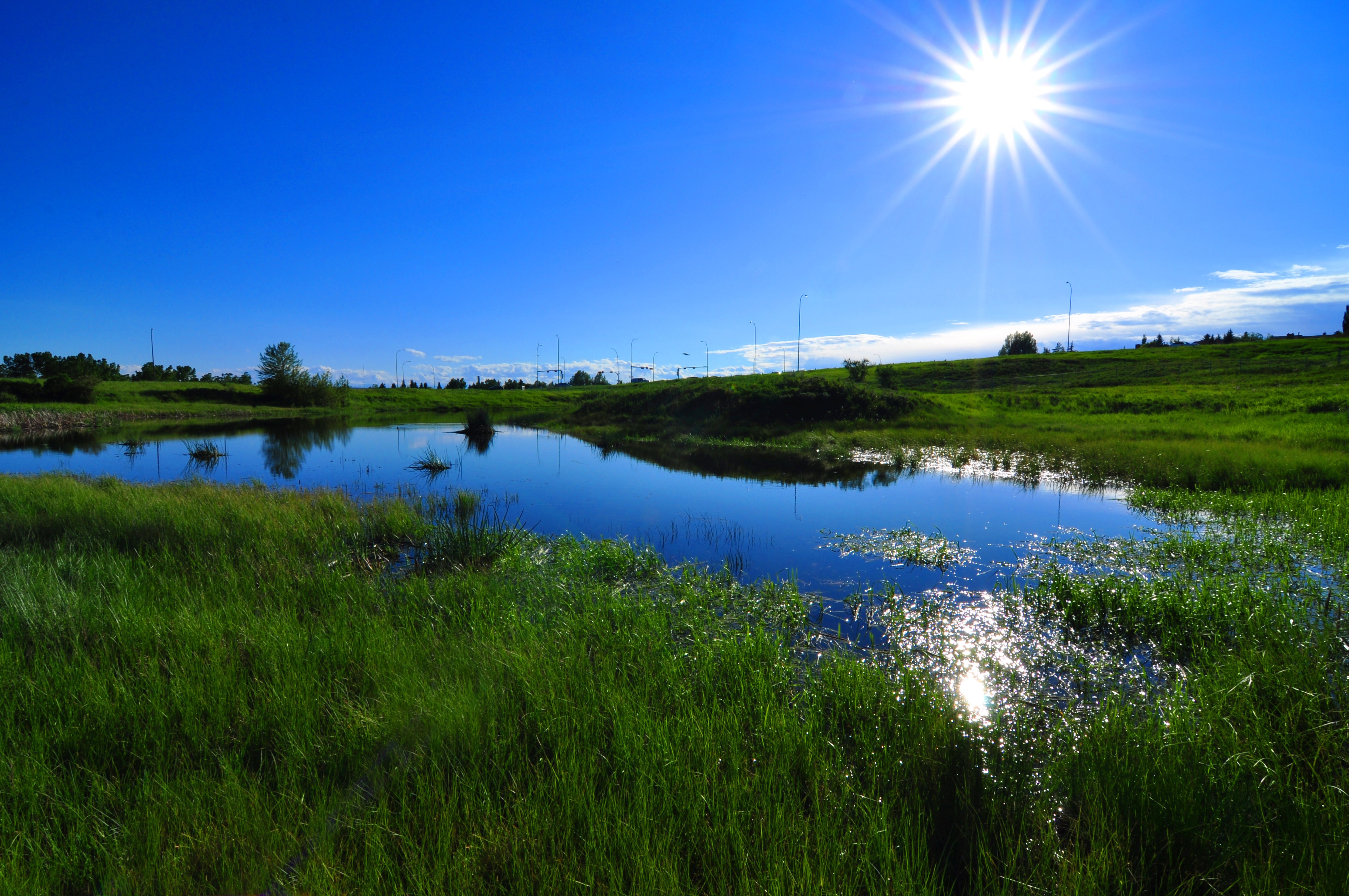 Nose Hill Park - One of the Top Attractions in Calgary, Canada - Yatra.com