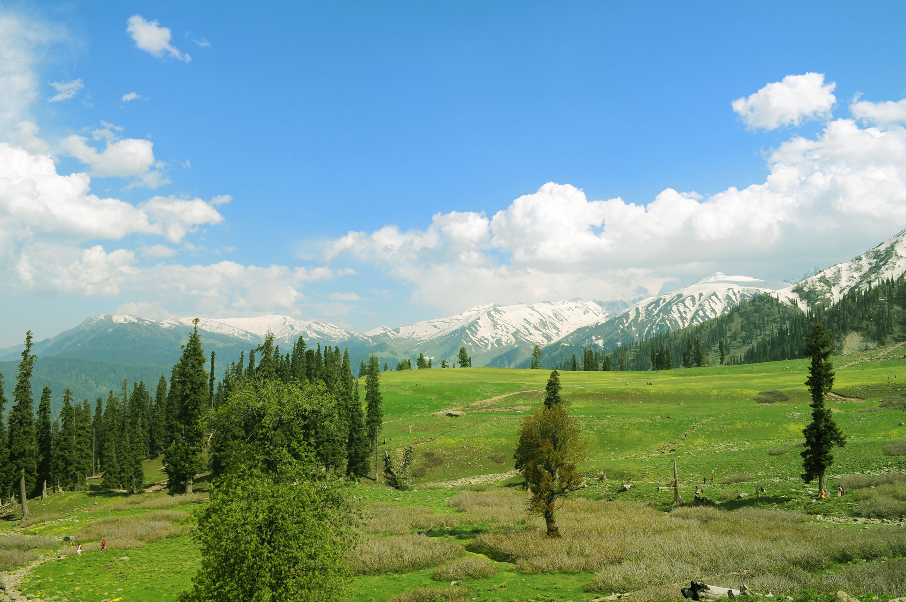 Things to Do in Gulmarg - Most Popular Gulmarg Things to Do - Yatra.com
