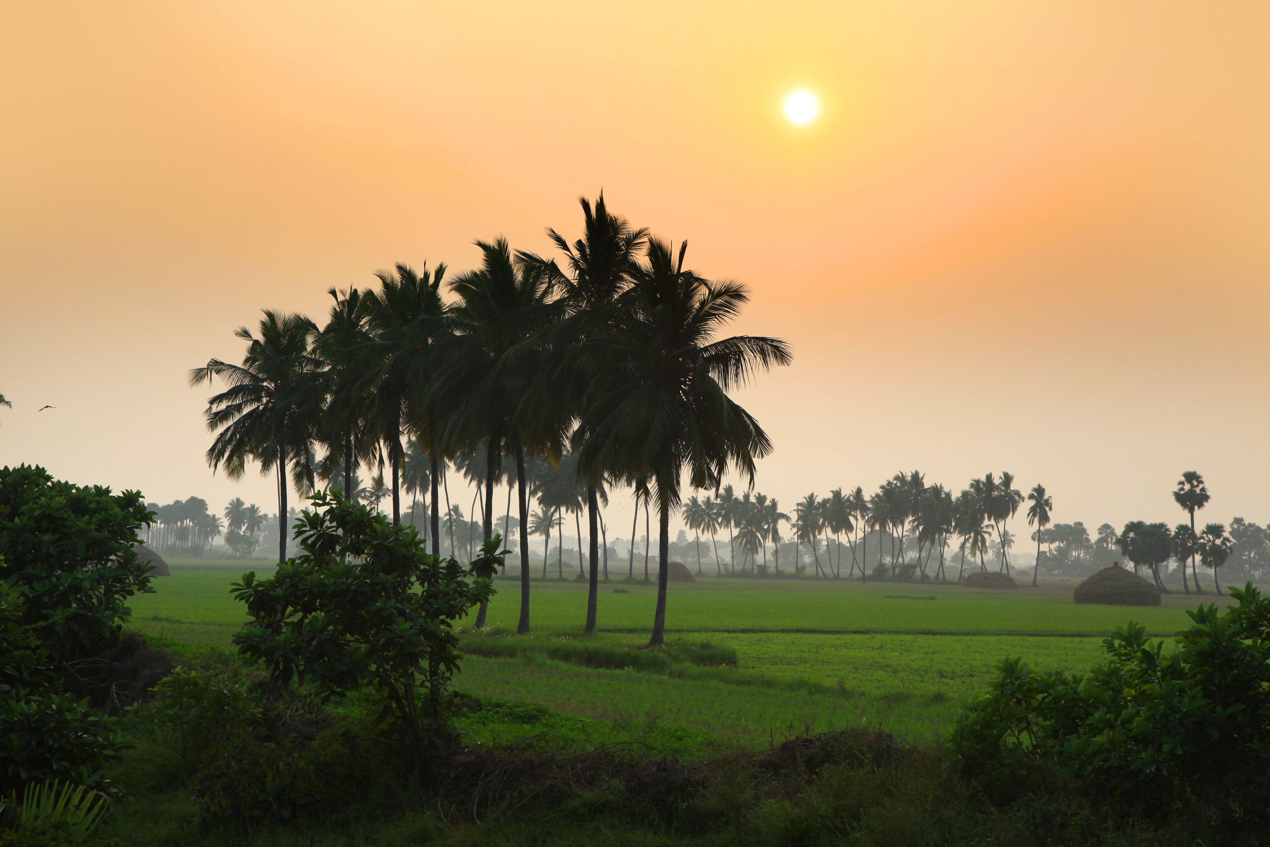 Adoni Tour Packages From Kerala - Book Adoni Packages From Kerala at ...