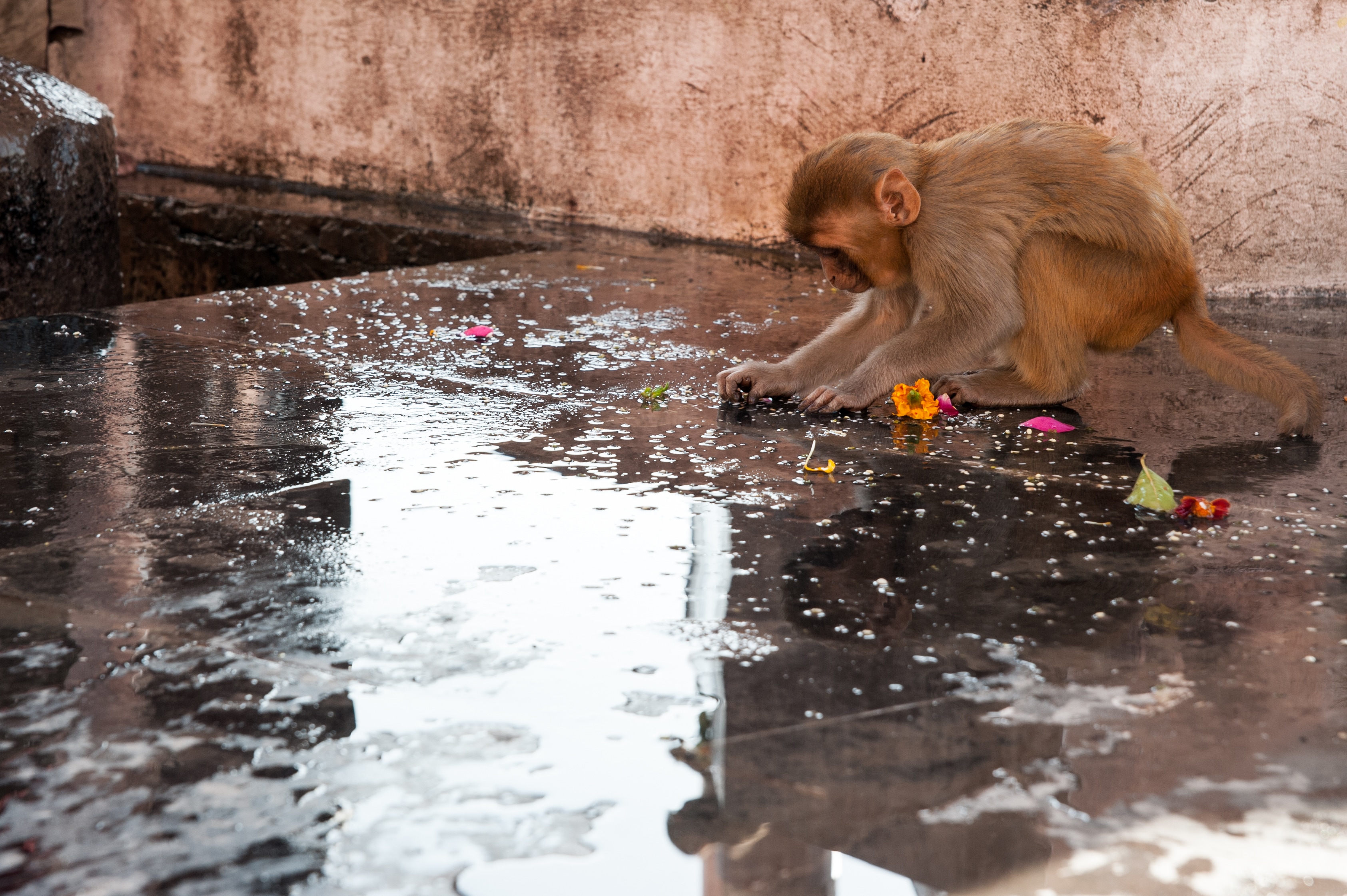 Chitrakoot Dham (karwi) Tour Packages From Kerala - Book Chitrakoot ...