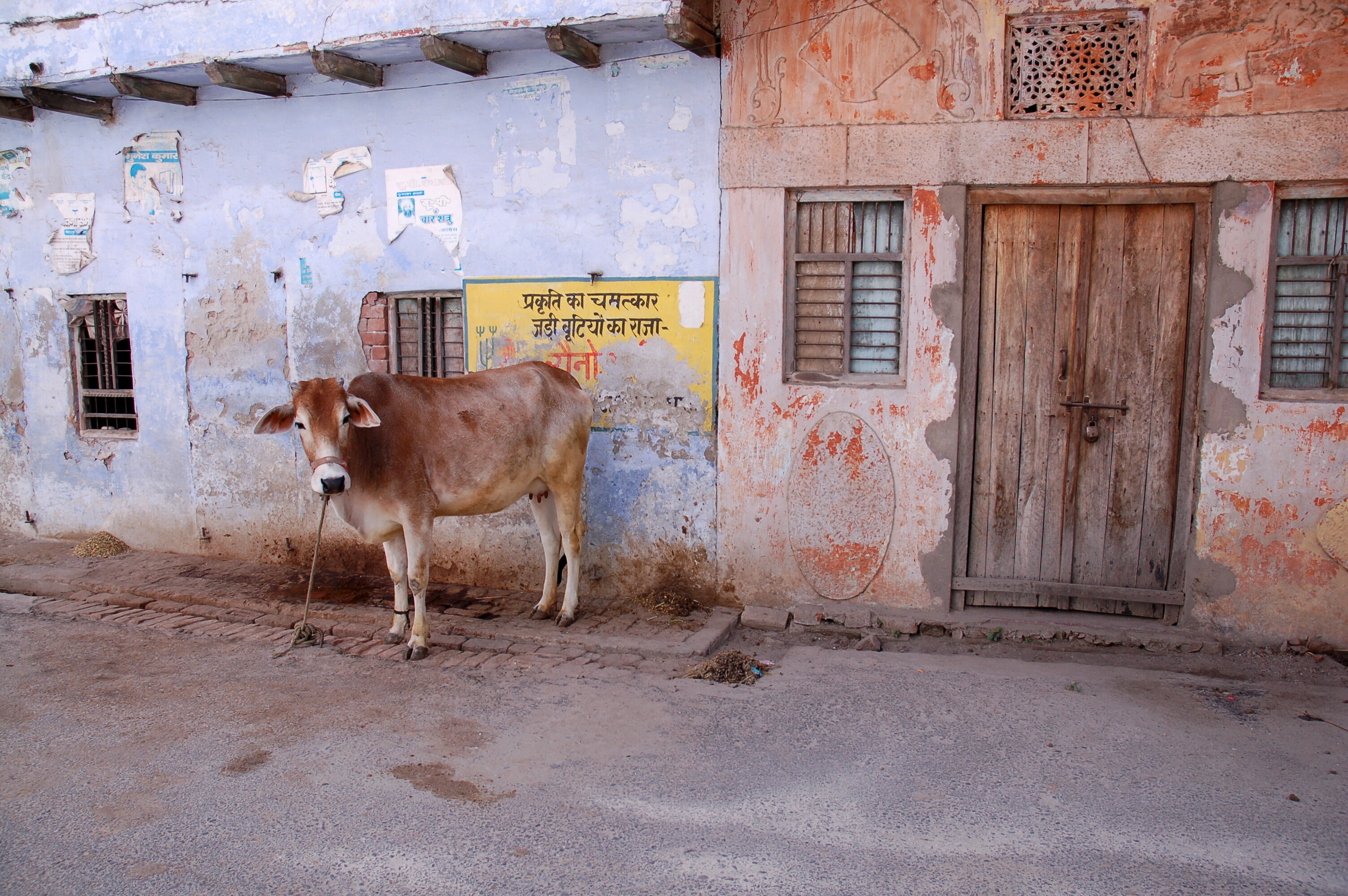 Garhmukteshwar Tour Packages From Kerala - Book Garhmukteshwar Packages ...