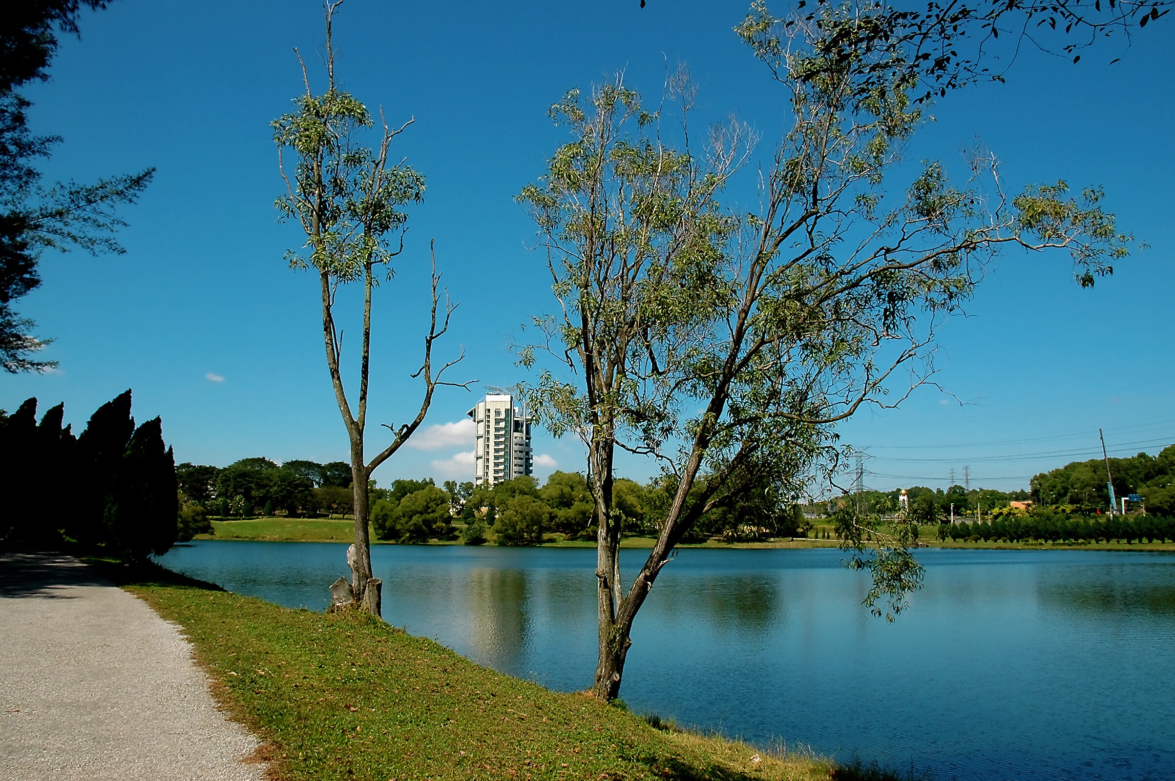 Adventure Activities, Things to Do, Places to Visit in Abroad
