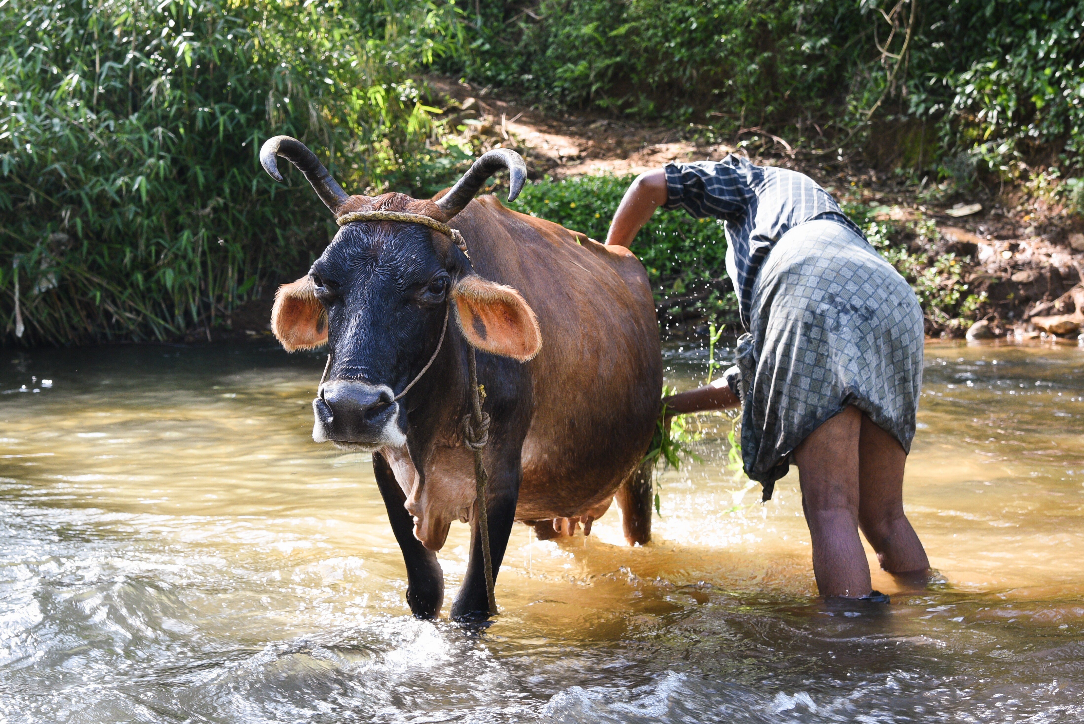 Places to Visit in Wayanad - Most Famous Wayanad Places to Visit - Yatra