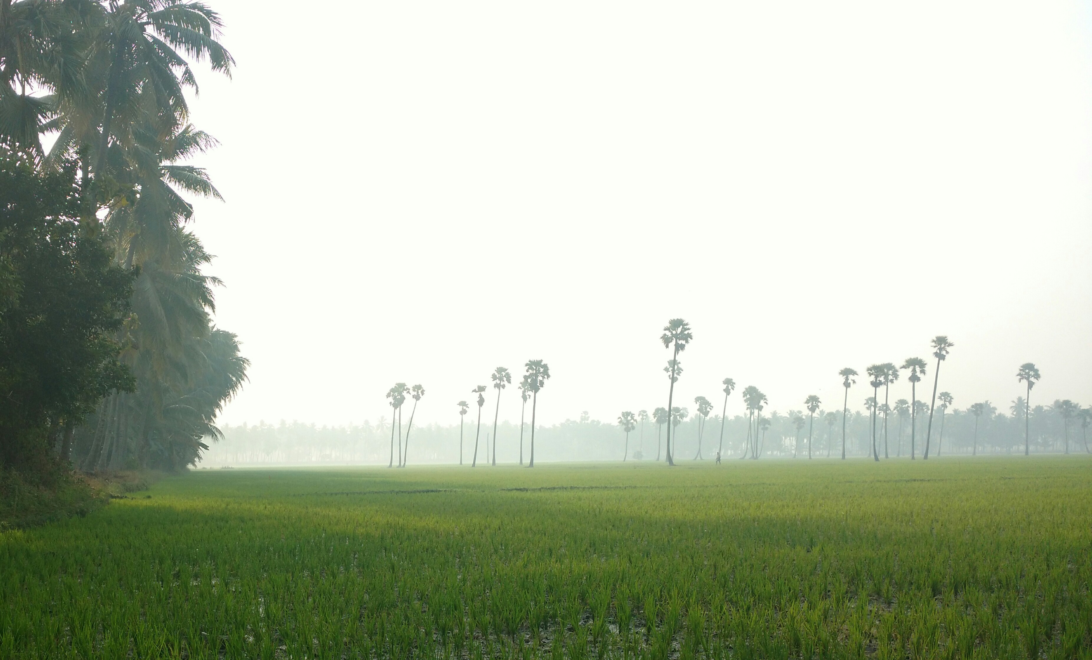 Bhimavaram Tour Packages From Kota - Book Bhimavaram Packages From Kota ...