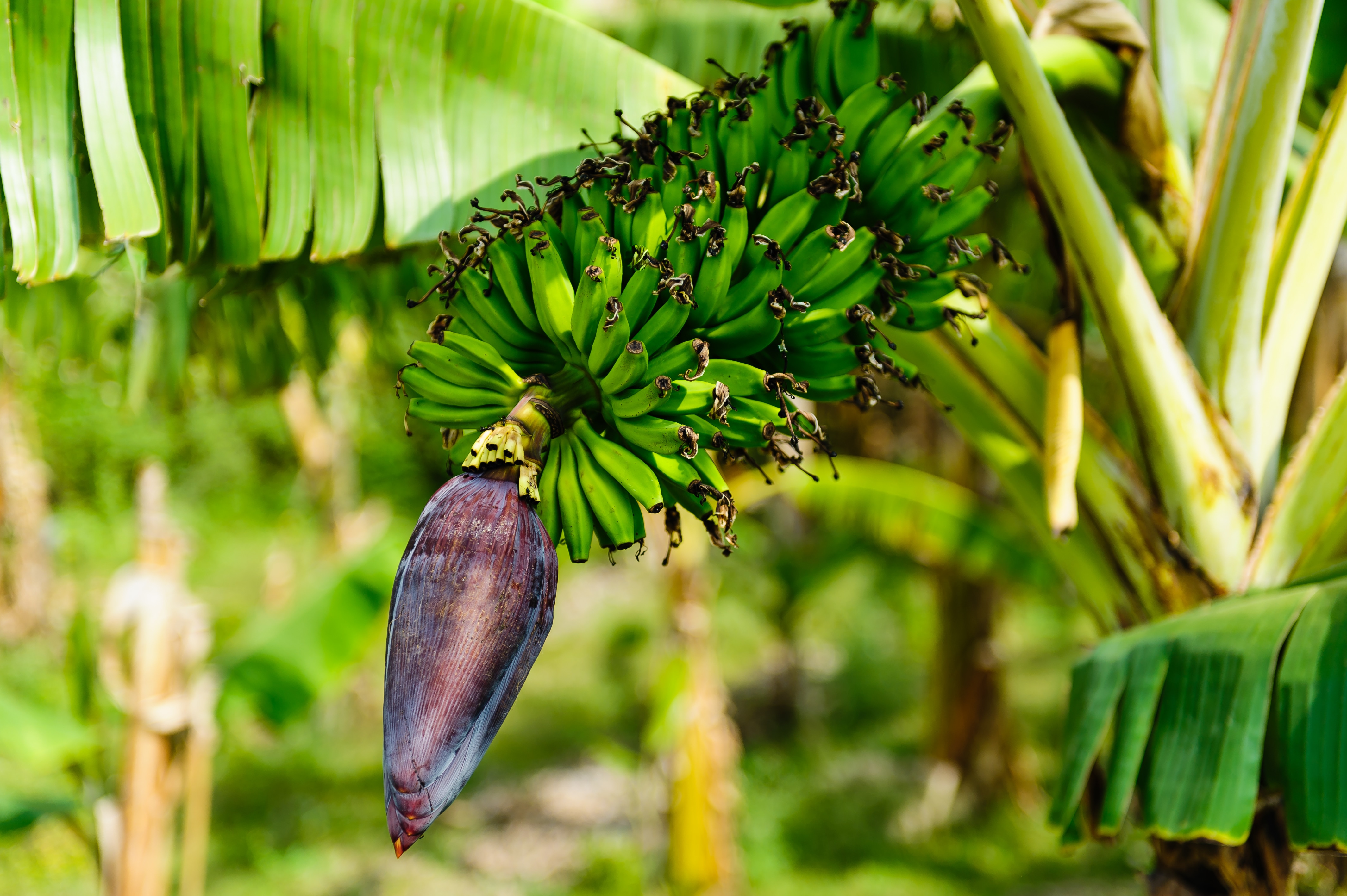 Bhusawal Tour Packages , get upto 30% Off on Bhusawal Packages Booking ...