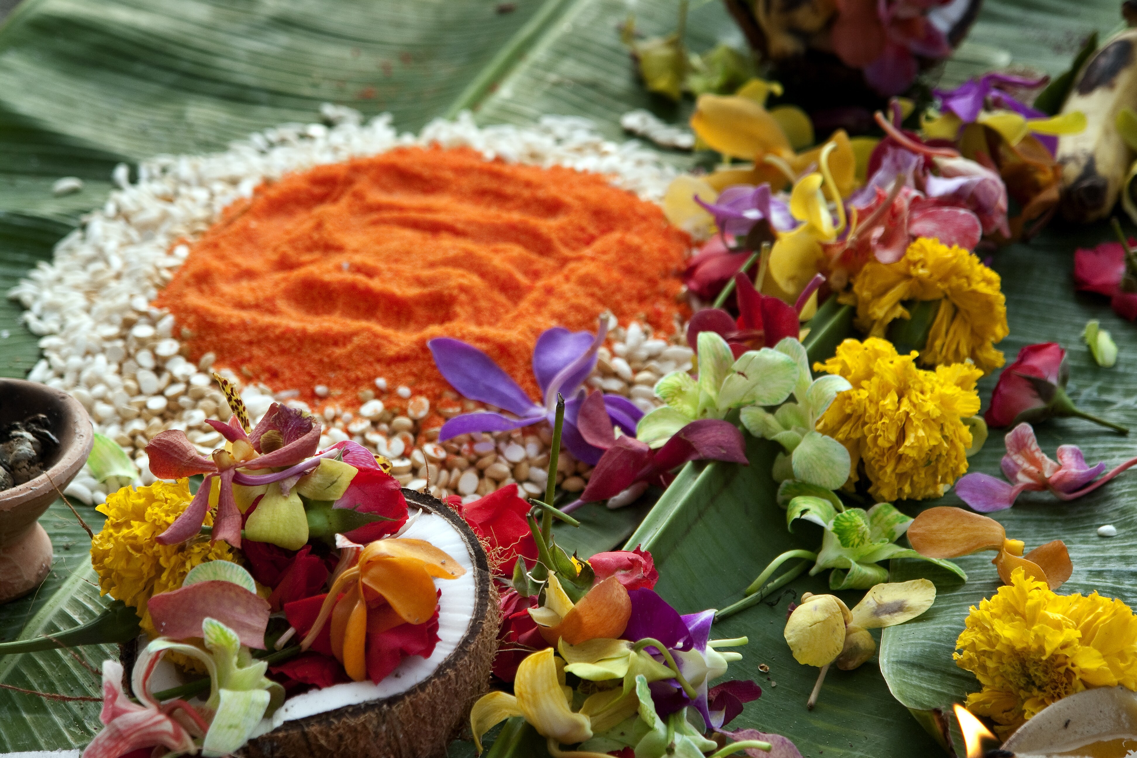 Charkhi Dadri Tour Packages From Kotdwar - Book Charkhi Dadri Packages ...