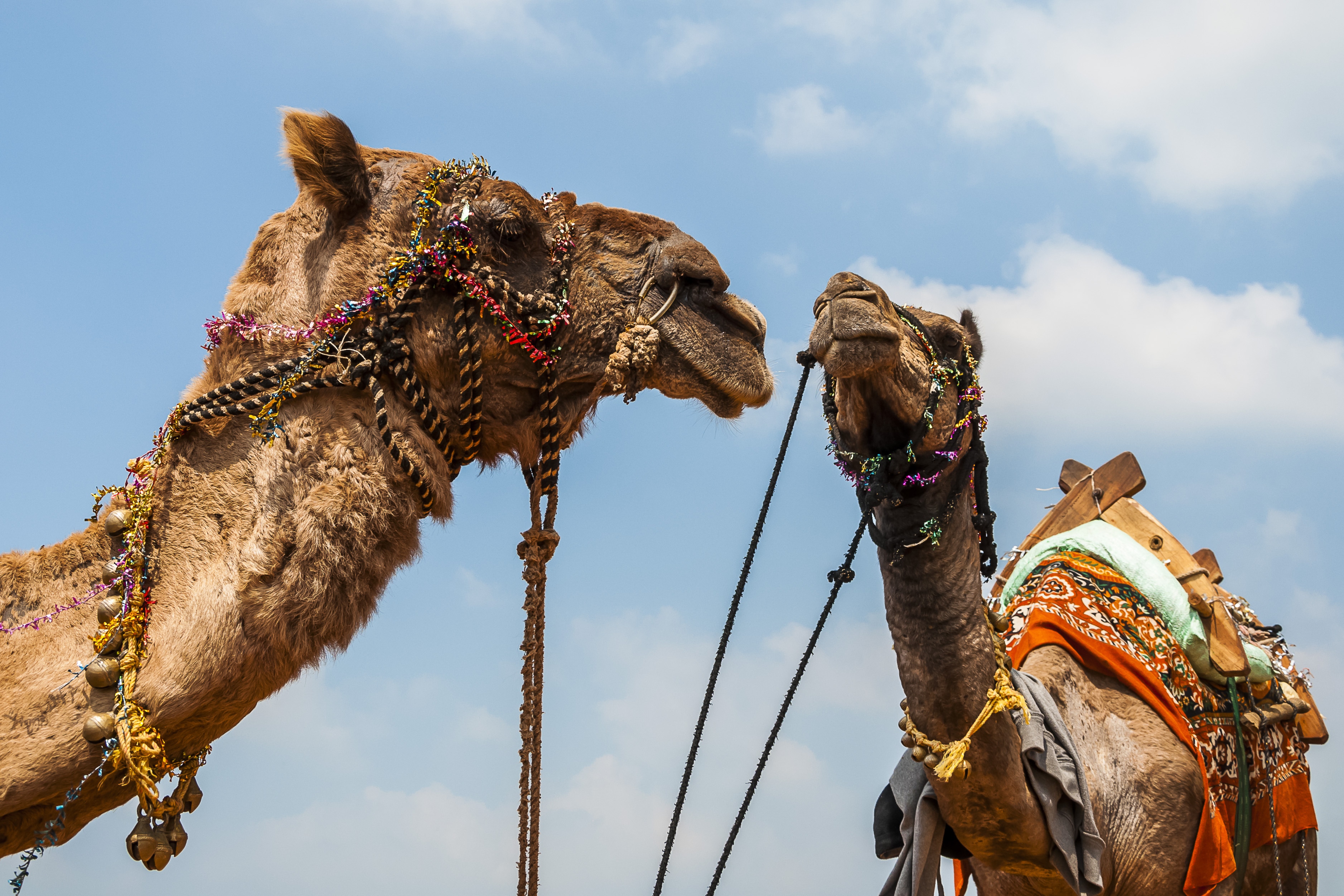 Karad Tour Packages From Kerala - Book Karad Packages From Kerala at ...