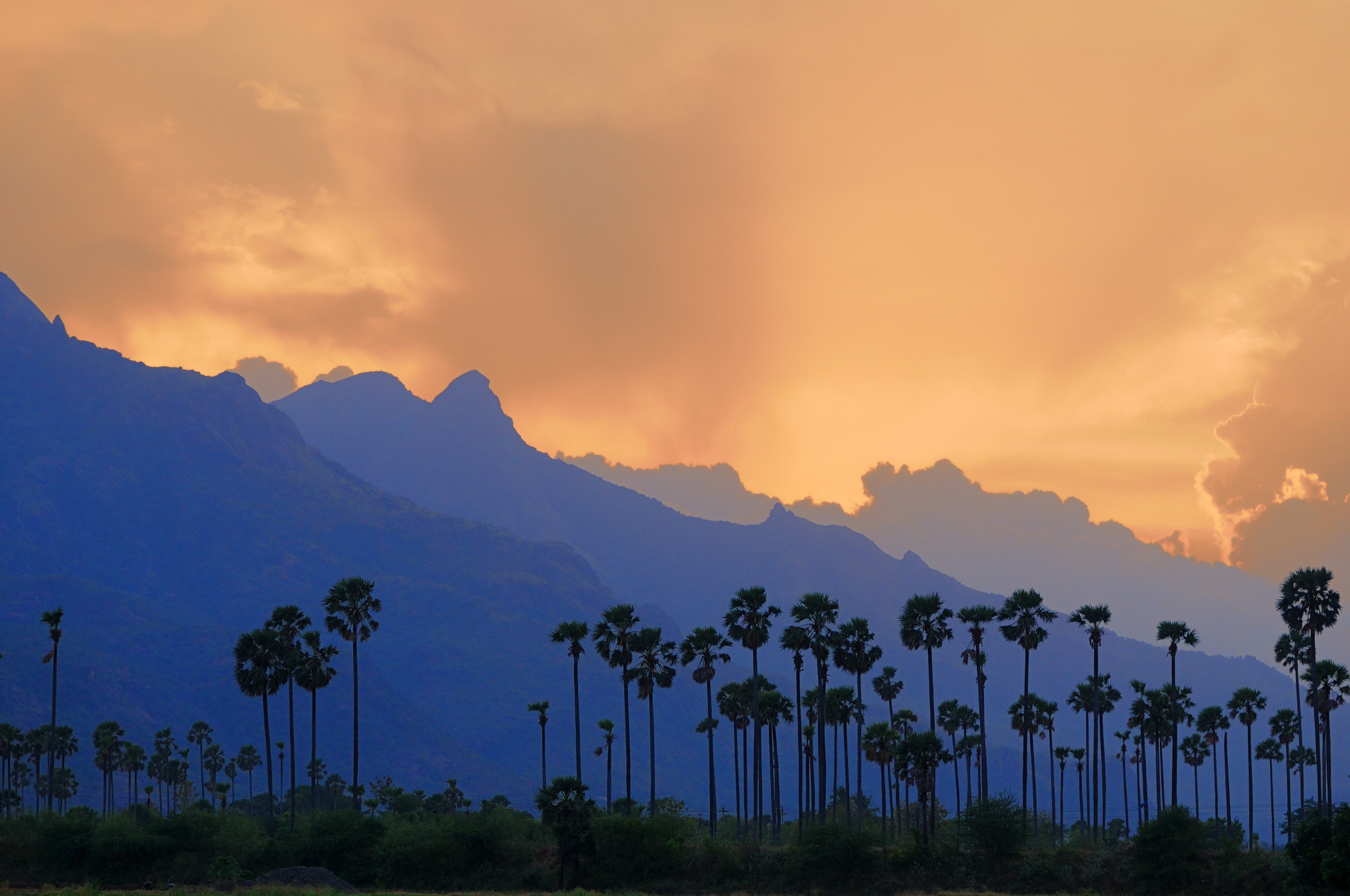 Tenkasi Tour Packages From Bangalore - Book Tenkasi Packages From ...