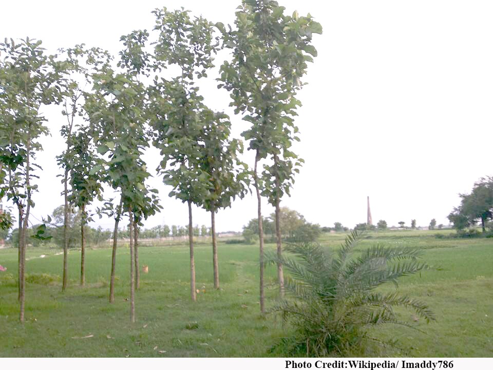 Saharsa Tour Packages From Hyderabad - Book Saharsa Packages From ...