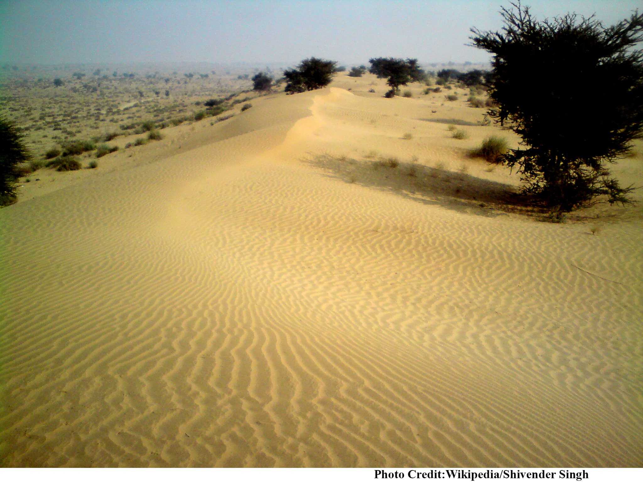 Sri Ganganagar Tour Packages From Kerala - Book Sri Ganganagar Packages ...