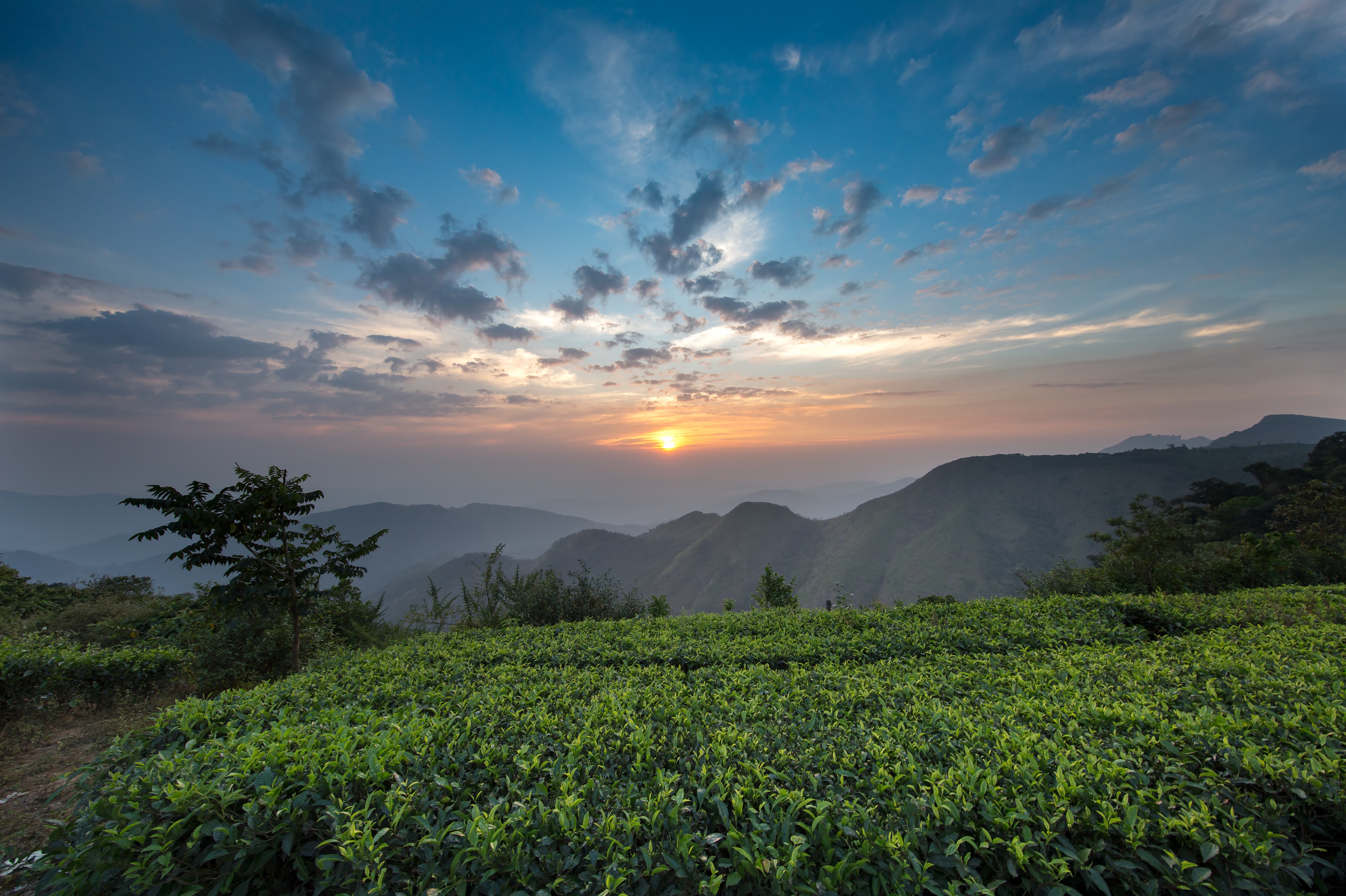 Vagamon Tour Packages , get upto 30% Off on Vagamon Packages Booking ...
