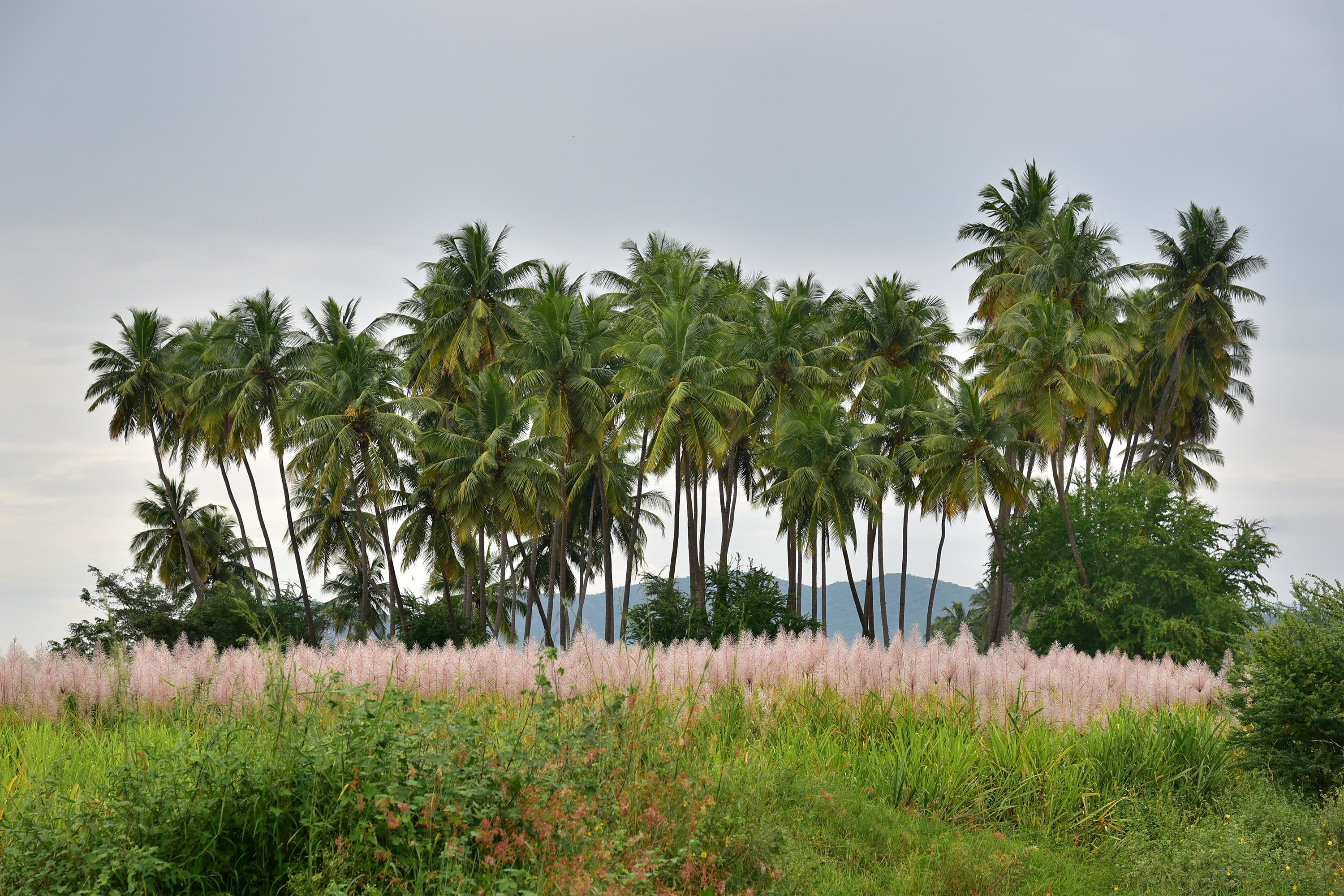 Cumbum Tour Packages From Kerala - Book Cumbum Packages From Kerala at ...