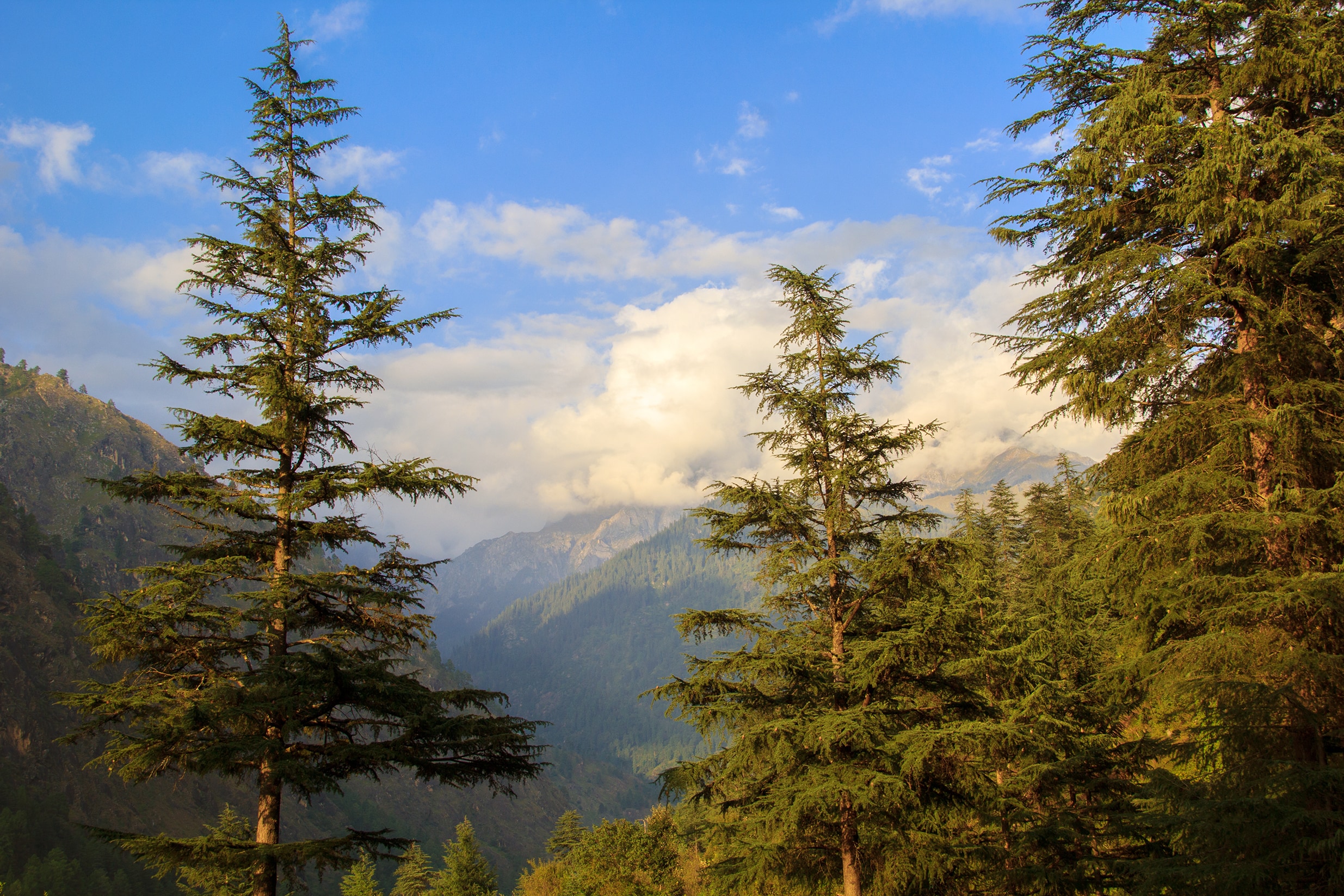 Pin Parvati Pass Tour Packages From Kerala - Book Pin Parvati Pass ...