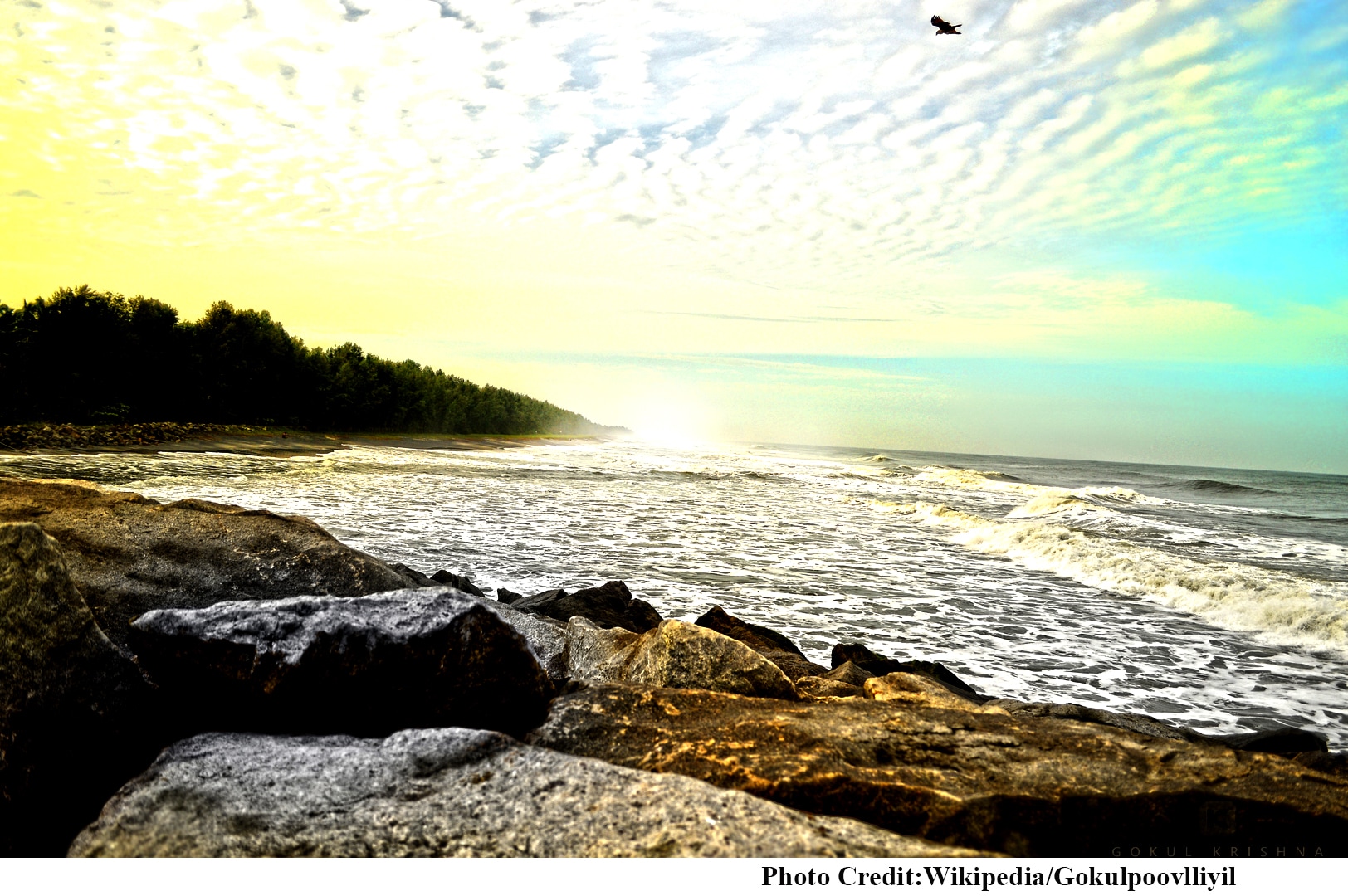 Karunagappally Tour Packages From Kerala - Book Karunagappally Packages ...