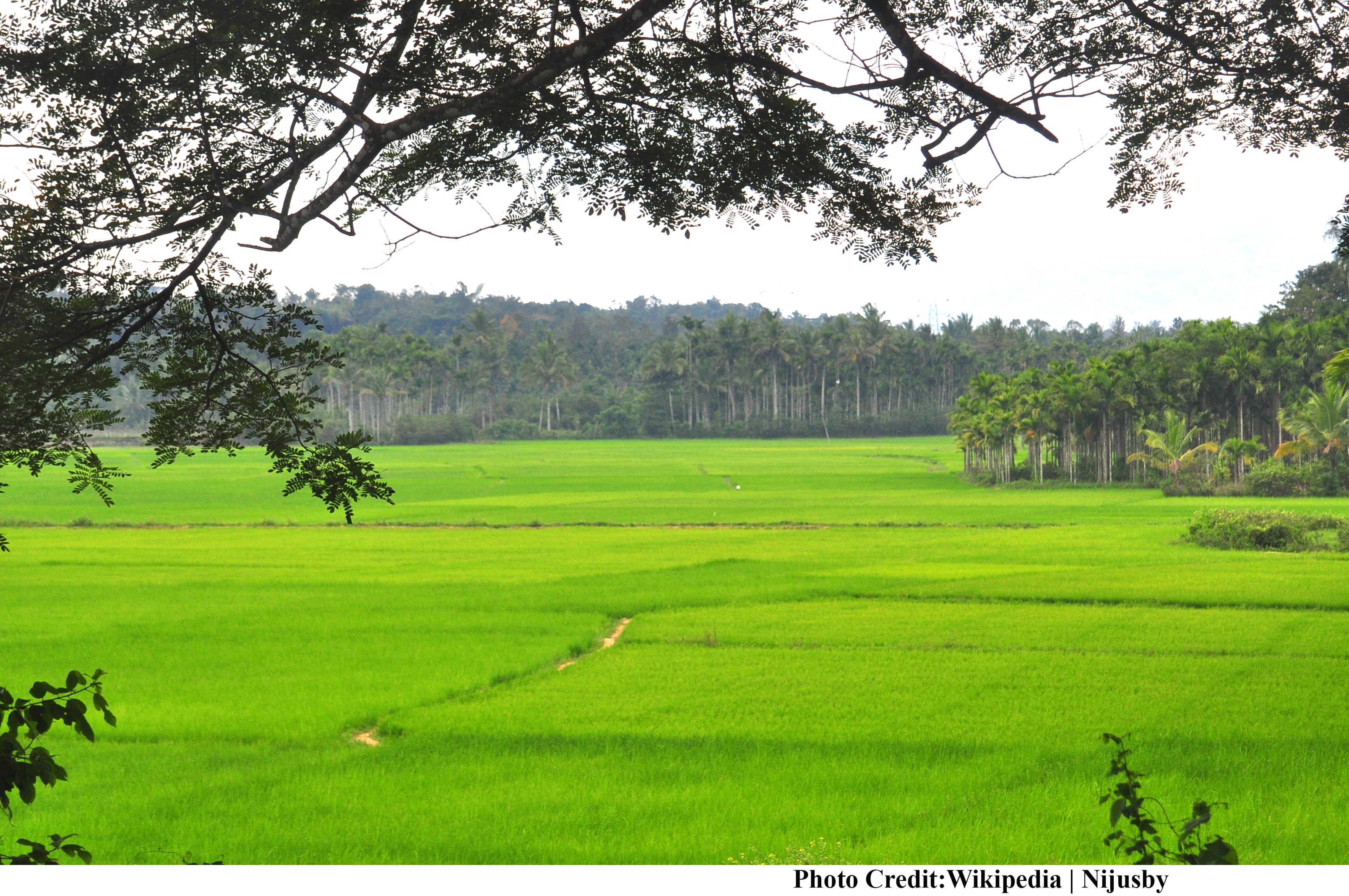 Sulthan Bathery Tour Packages From Kerala - Book Sulthan Bathery ...