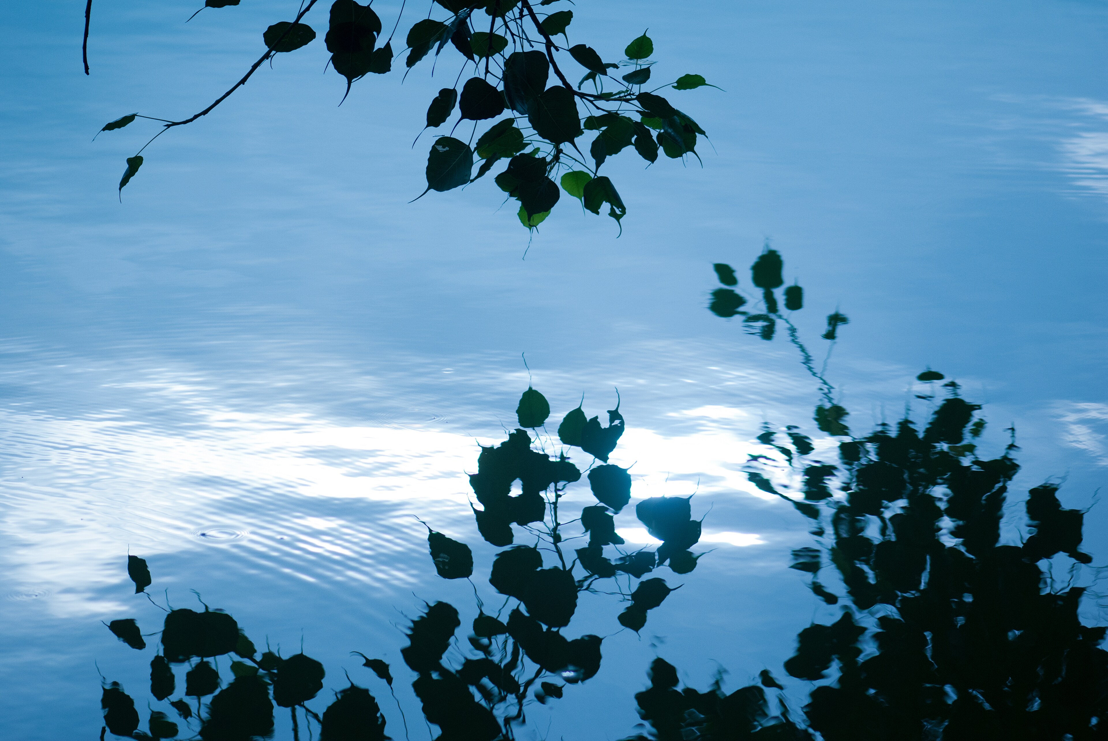 Katihar Tour Packages From Kerala - Book Katihar Packages From Kerala ...