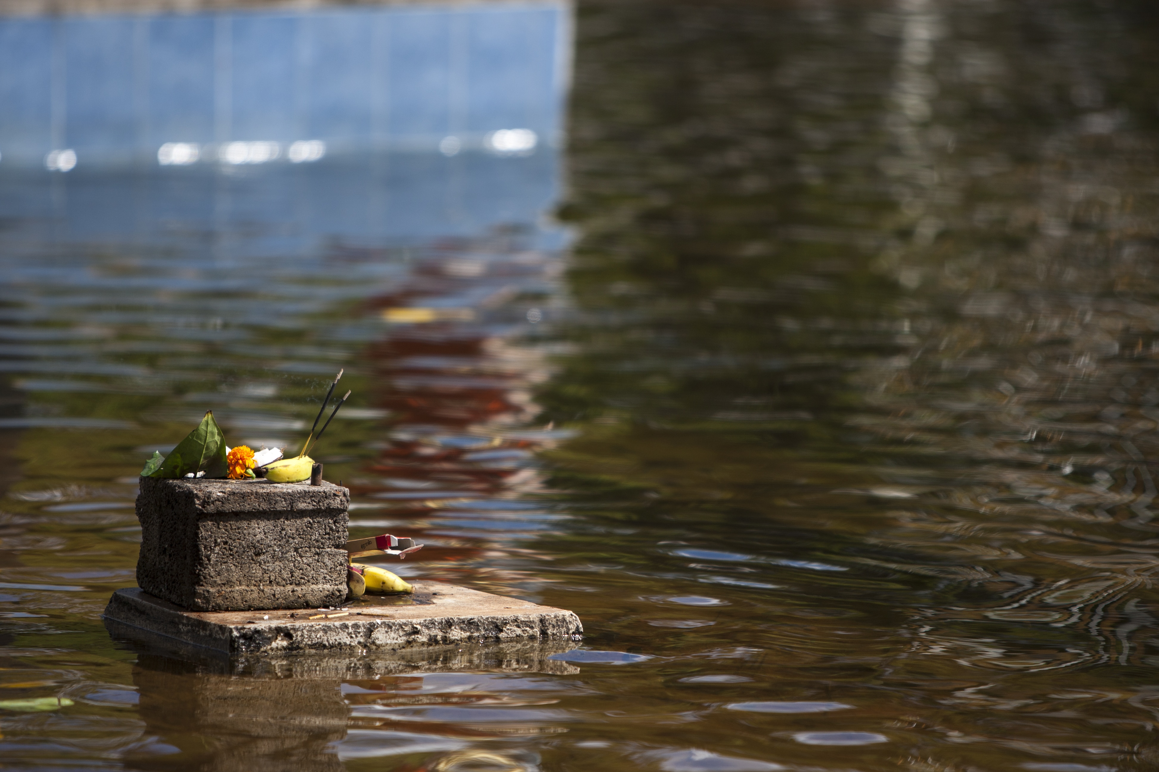 Gunawa Tour Packages From Delhi - Book Gunawa Packages From Delhi at ...