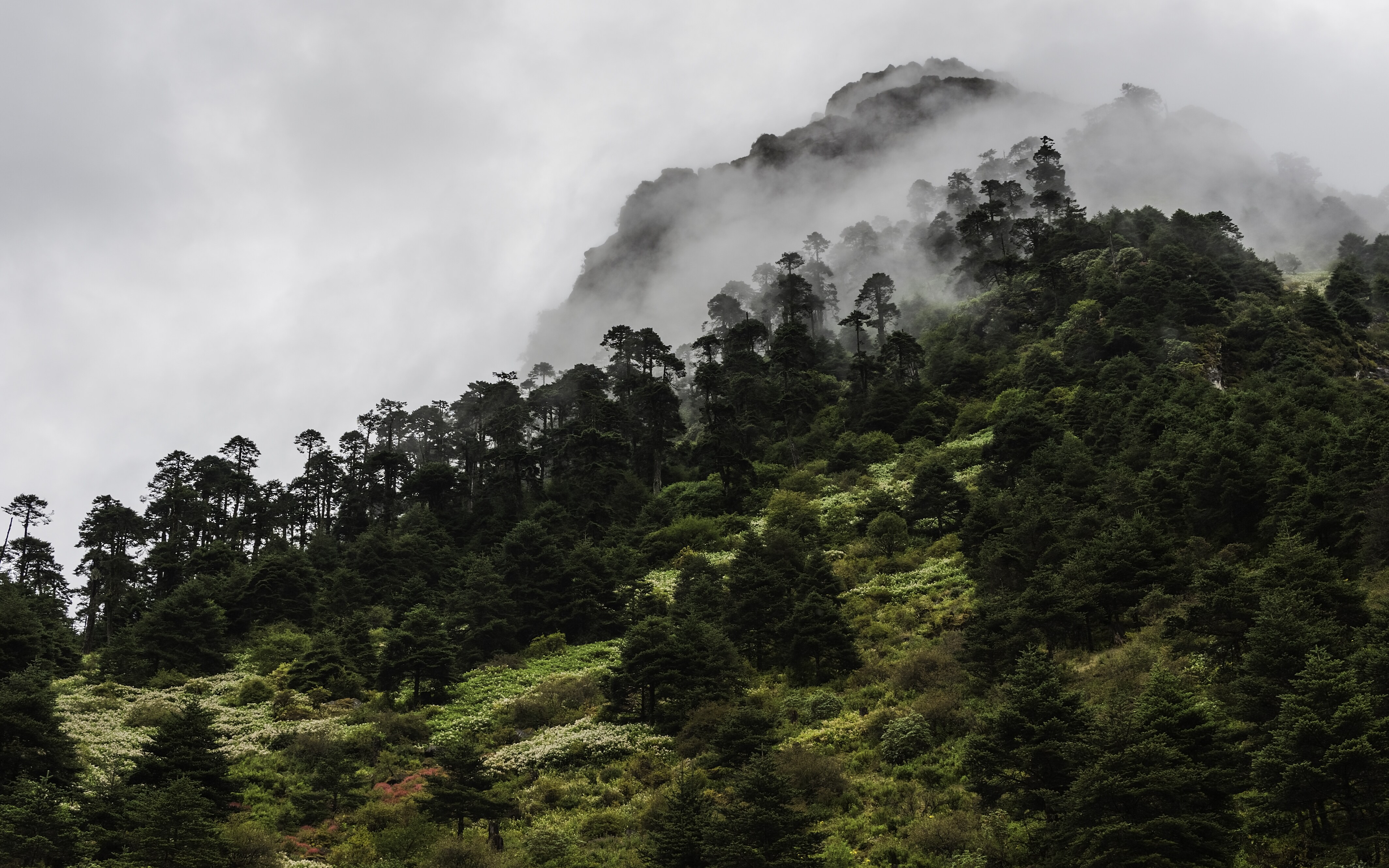 Potok Tour Packages From Kolkata - Book Potok Packages From Kolkata at ...