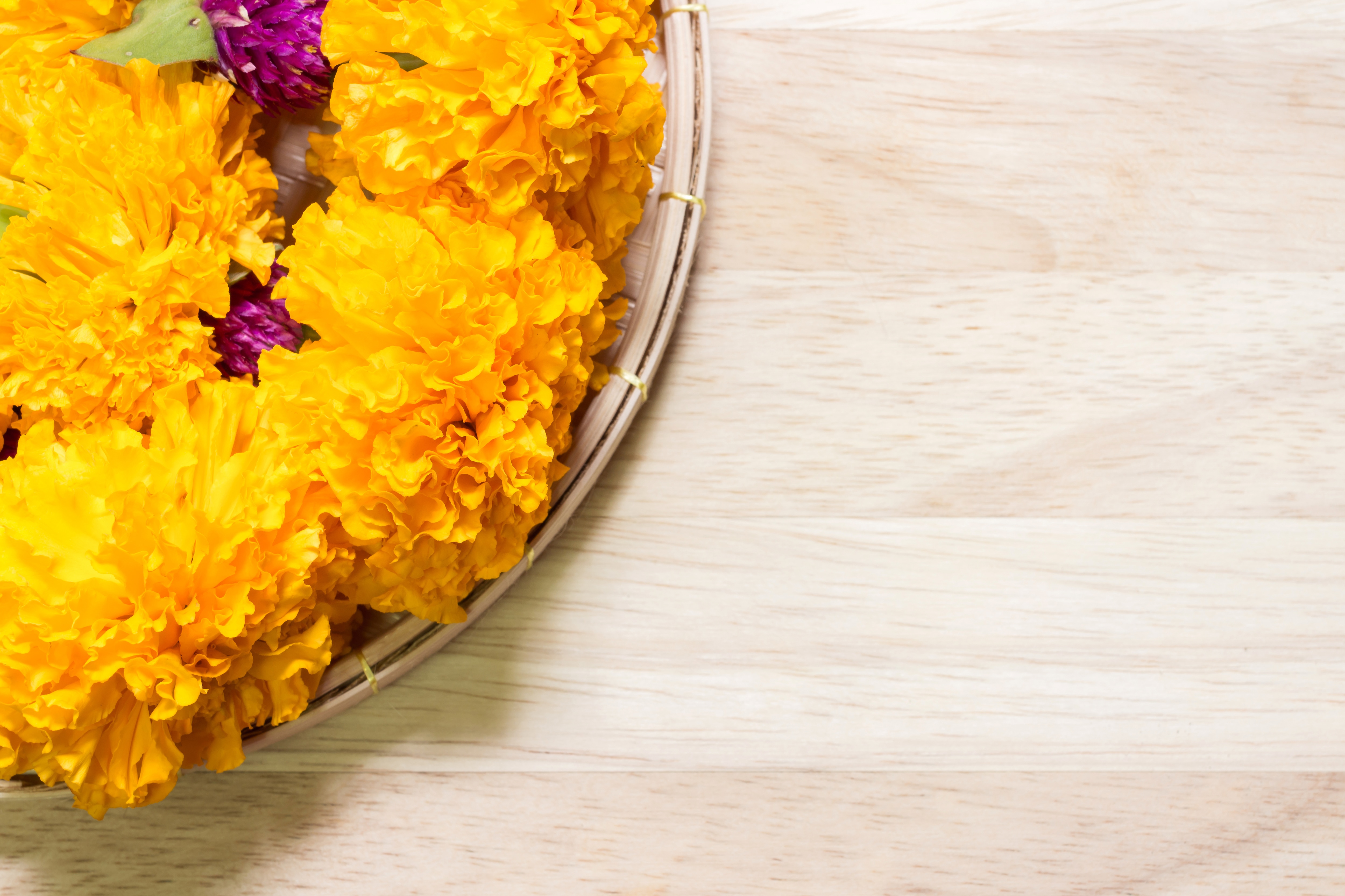 Mohania Tour Packages From Kerala - Book Mohania Packages From Kerala ...