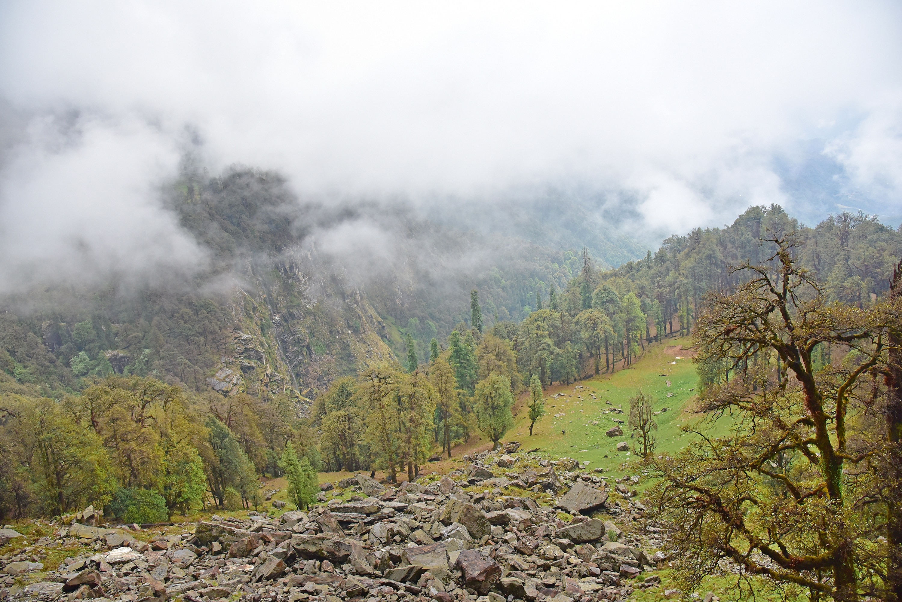 Bhowali Tour Packages From Kerala - Book Bhowali Packages From Kerala ...