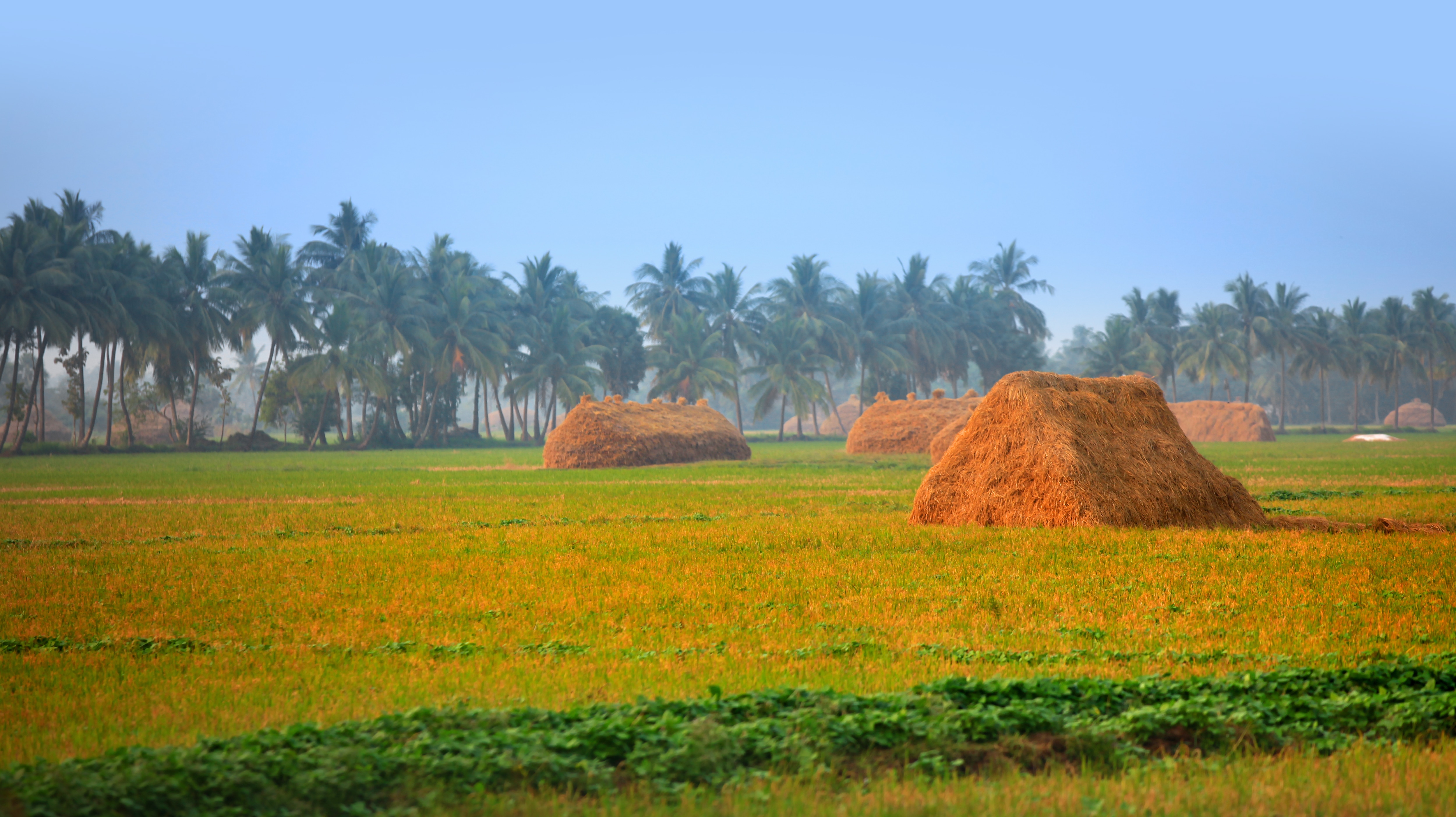 Kuppam Tour Packages From Kerala - Book Kuppam Packages From Kerala at ...