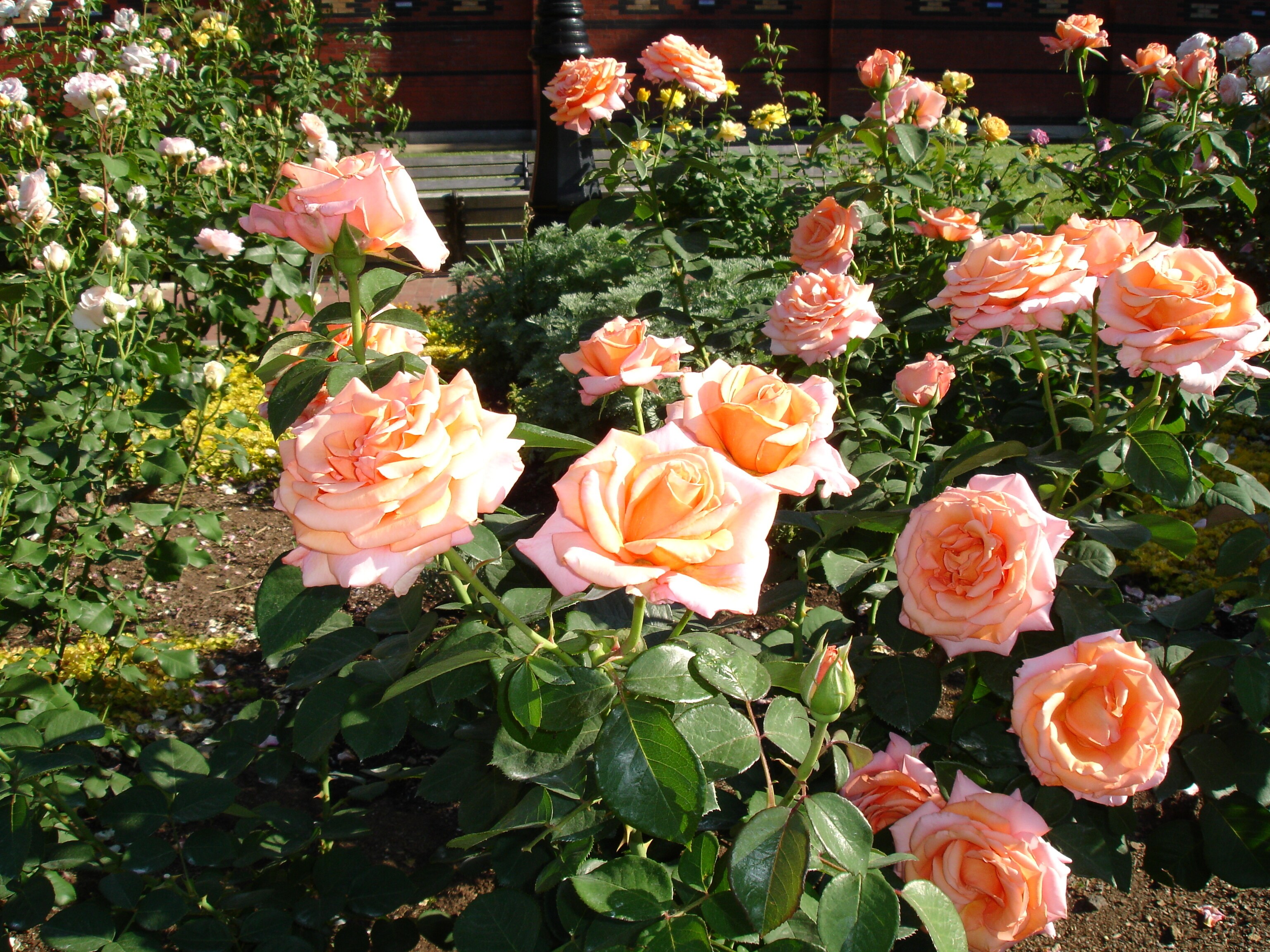 Mandi Gobindgarh Tour Packages From Kerala - Book Mandi Gobindgarh ...