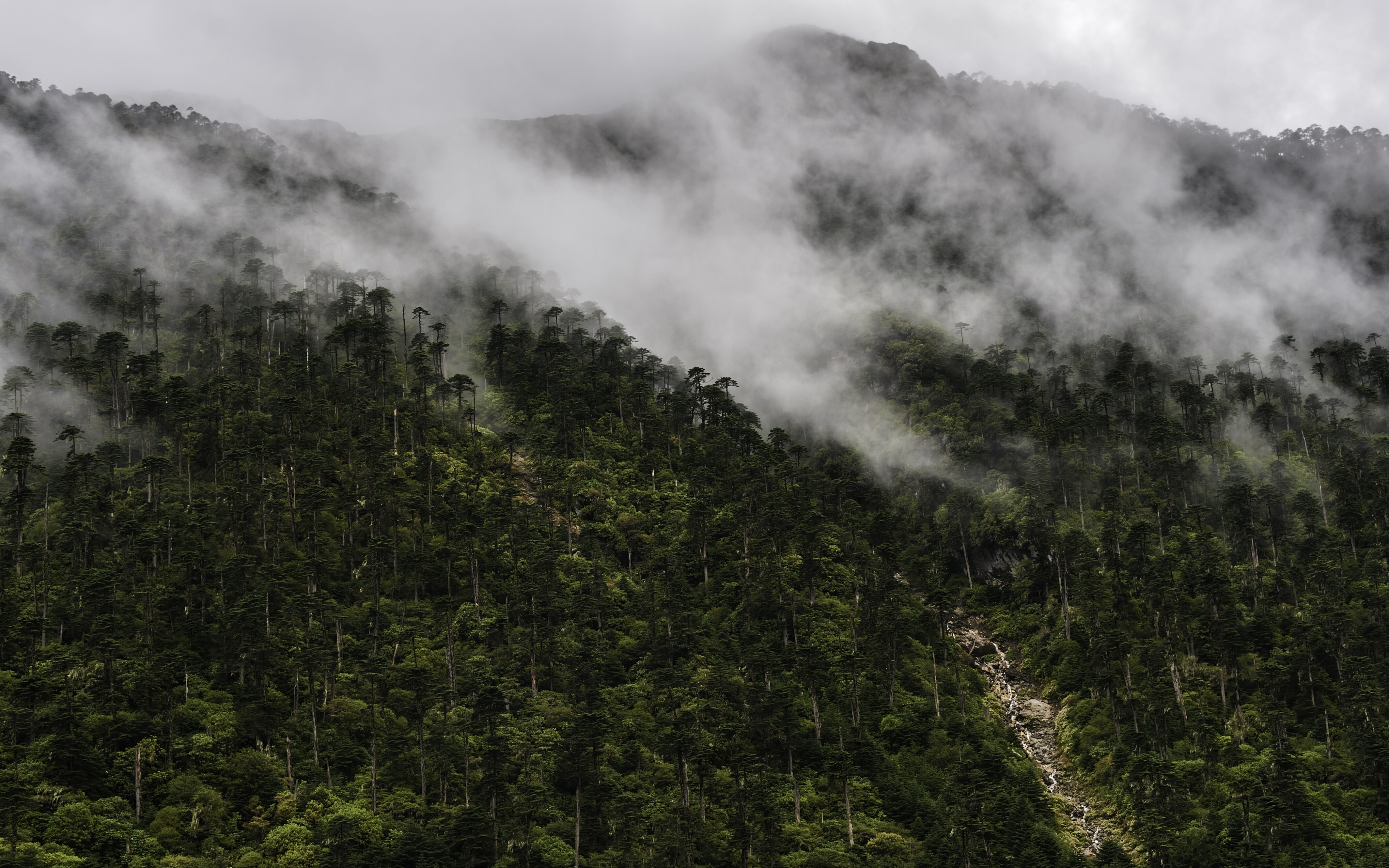 Salari Tour Packages From Kerala - Book Salari Packages From Kerala at ...