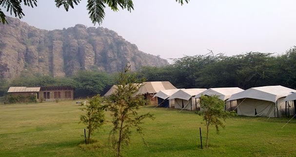 Camp Wild Dhauj Aravali, Camping around Delhi | Adventure Nation