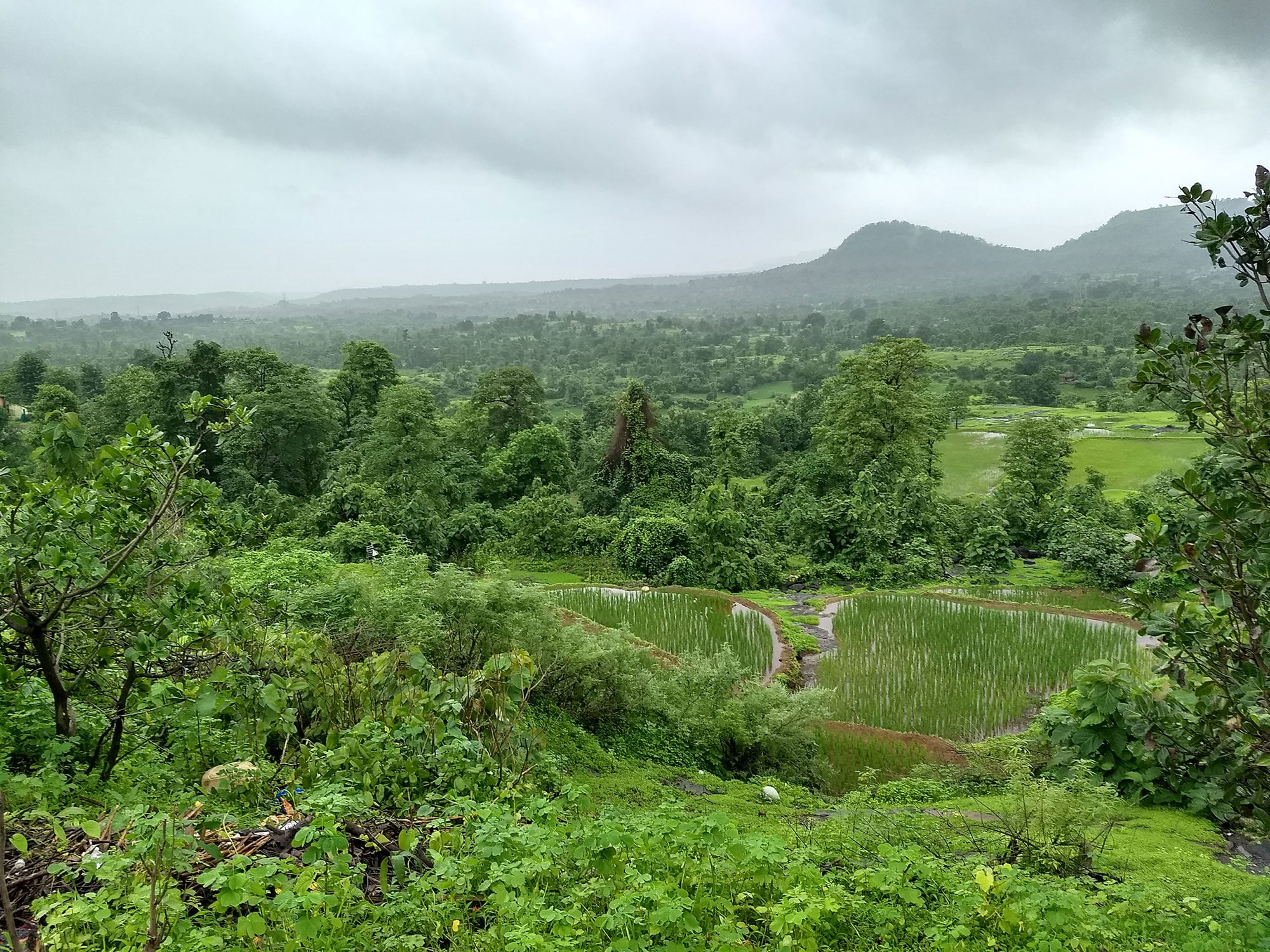Sudhagad Fort Monsoon Trek